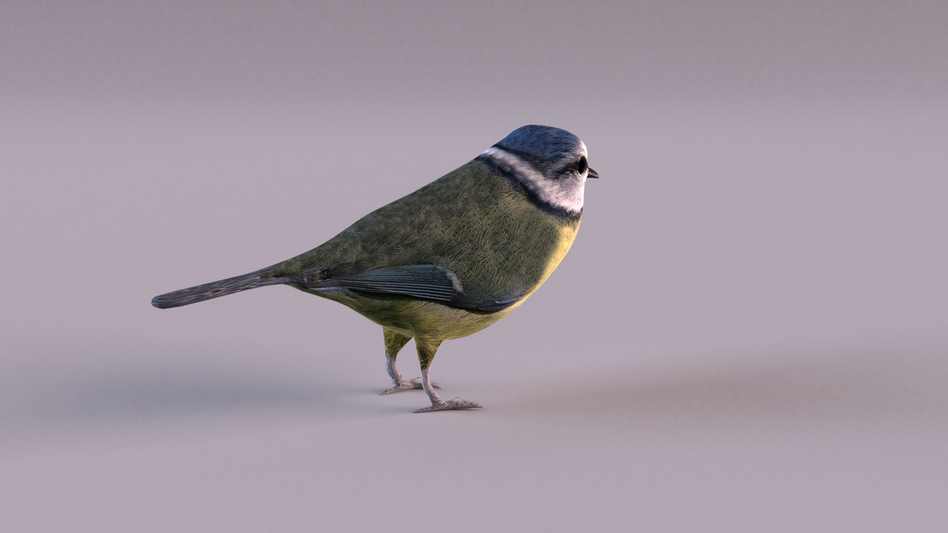 3ds nightingale bird