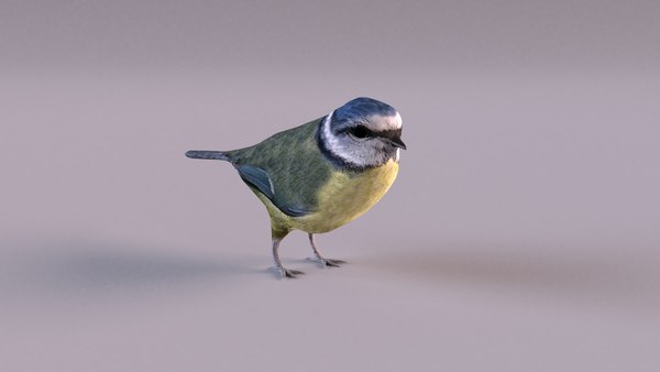 3ds nightingale bird