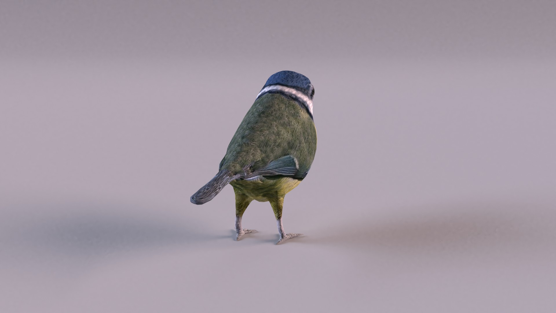 3ds nightingale bird