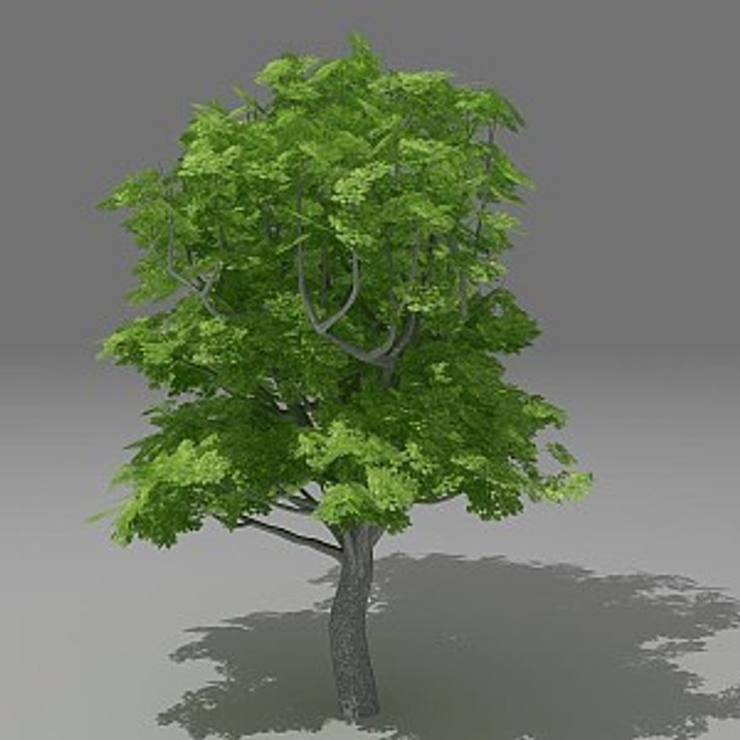 Tree 3d Max