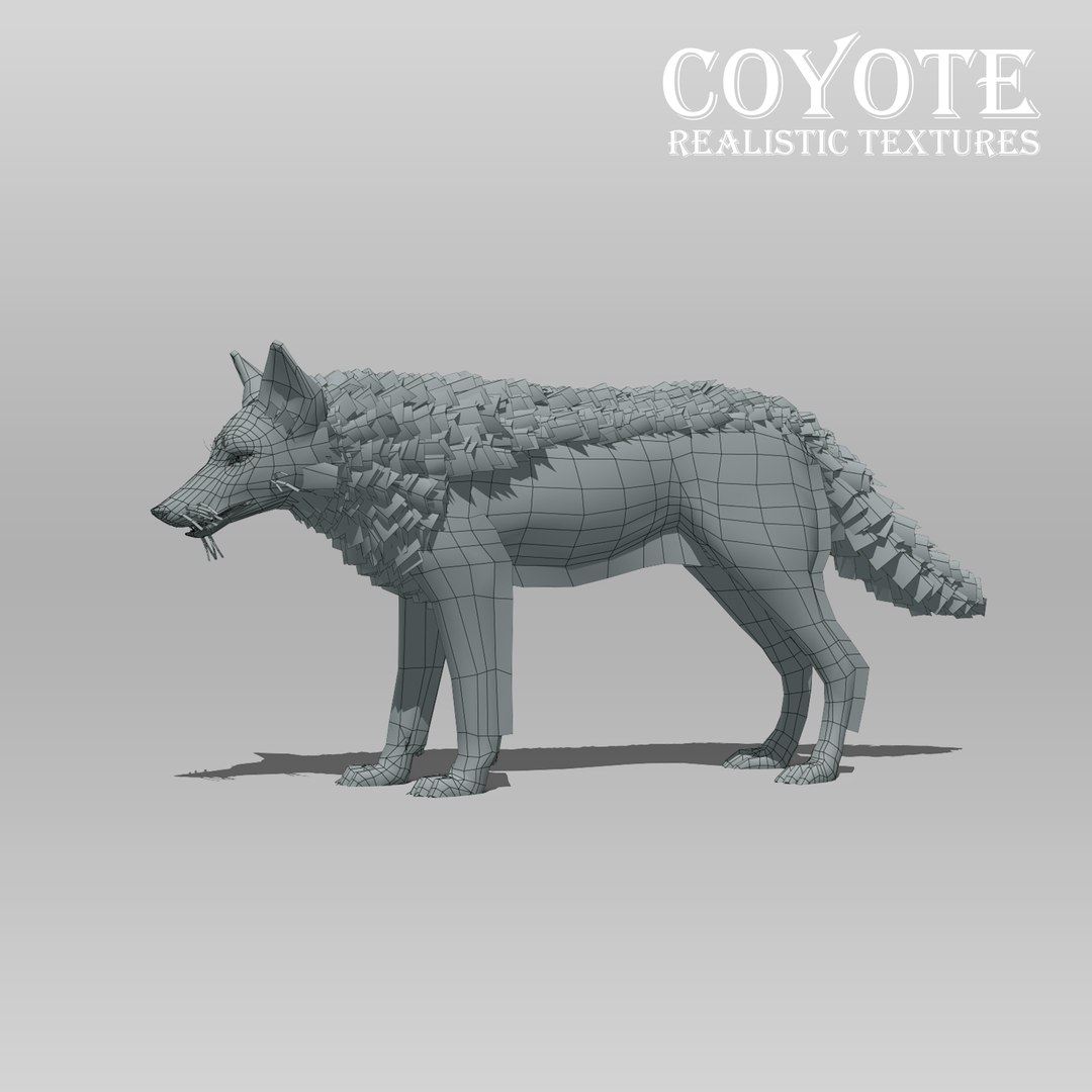 3D Coyote Animations Model - TurboSquid 1227740