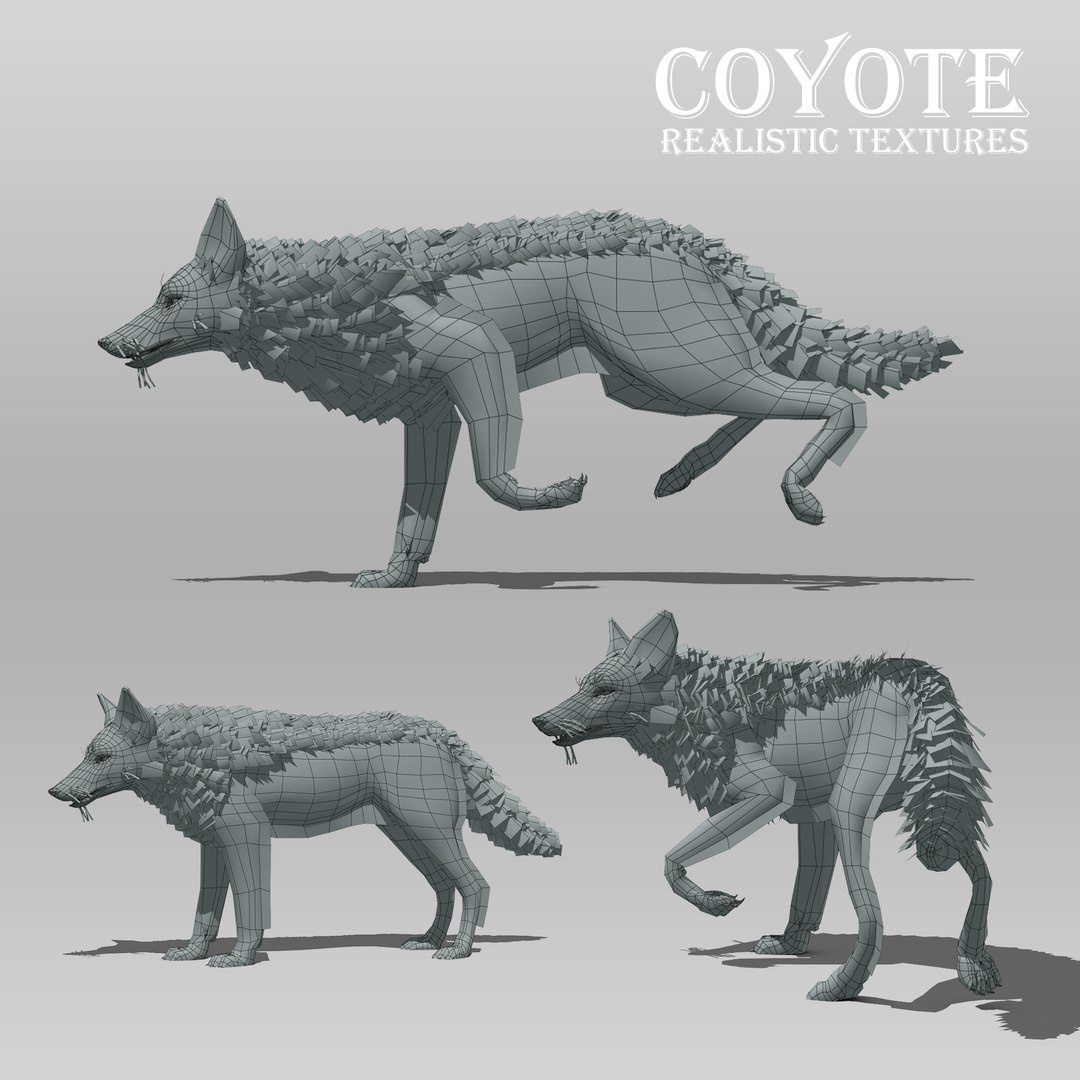 3D Coyote Animations Model - TurboSquid 1227740