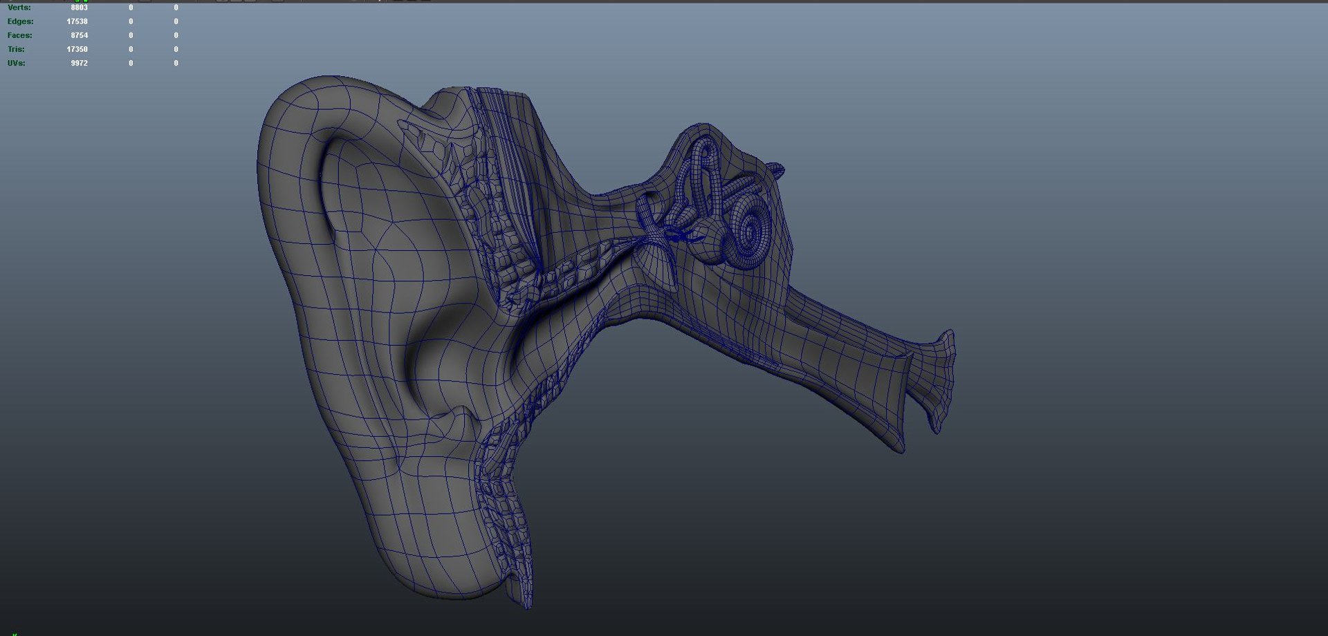 Ear Canal Model - TurboSquid 1694807