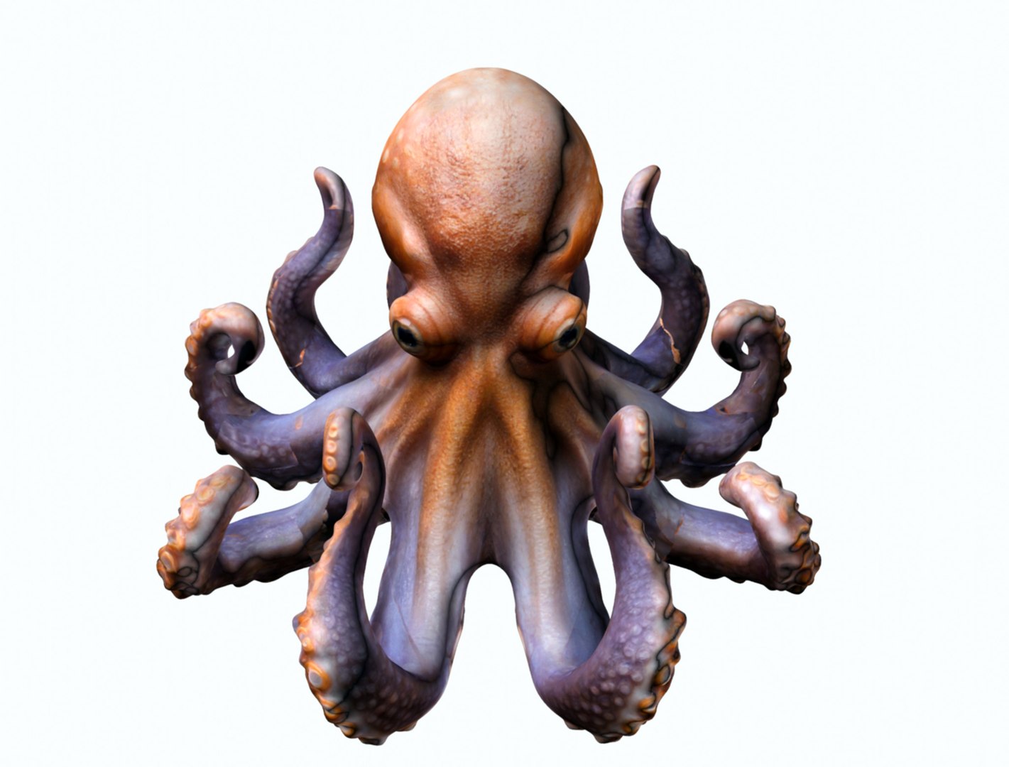 3D Model Realistic Octopus 3D Model - TurboSquid 2323820