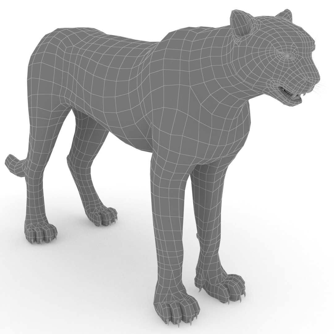 Cheetah 3D Model - TurboSquid 1437995