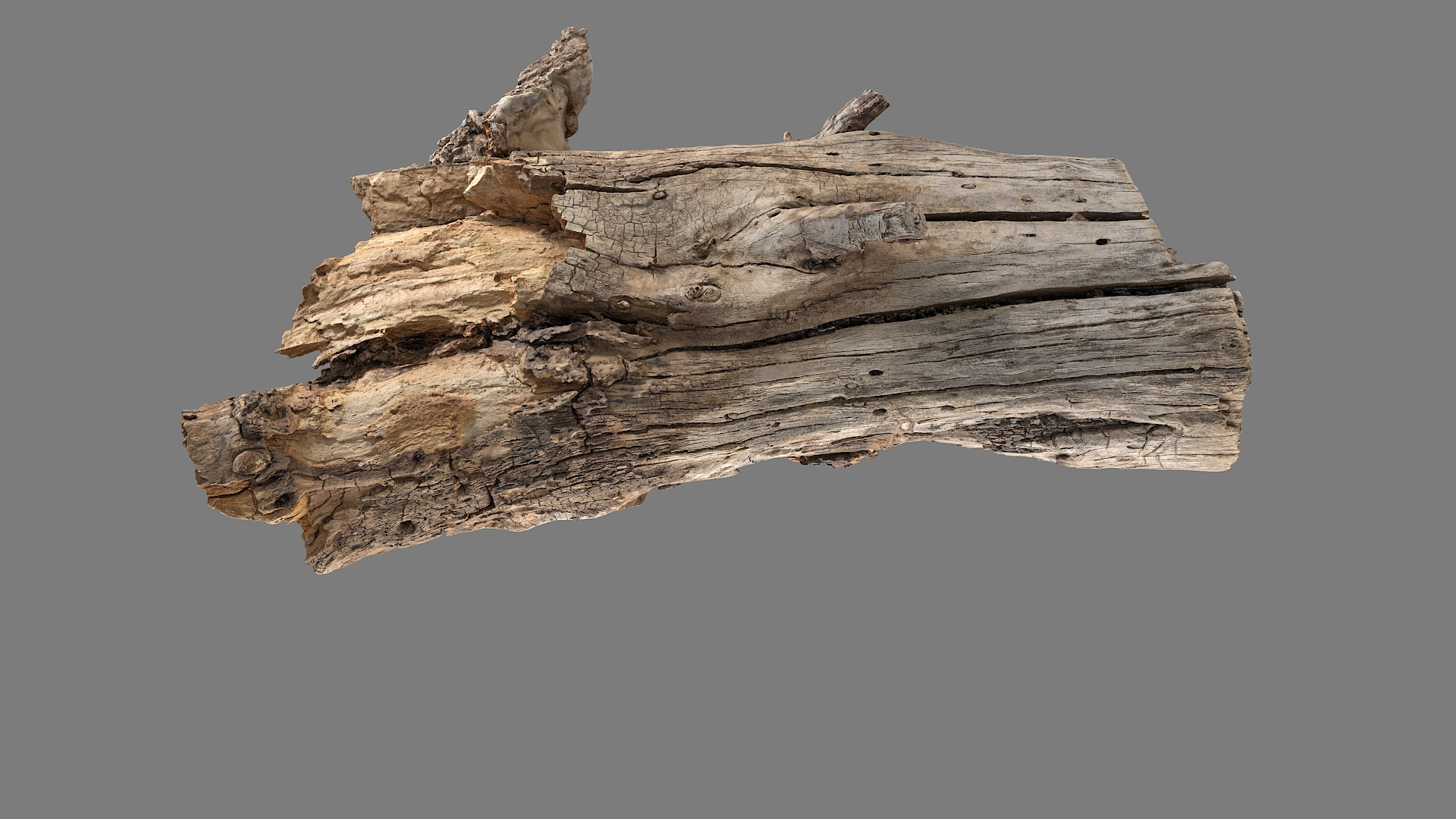 3D Model Tree Bark Scanned 9 - TurboSquid 2015474