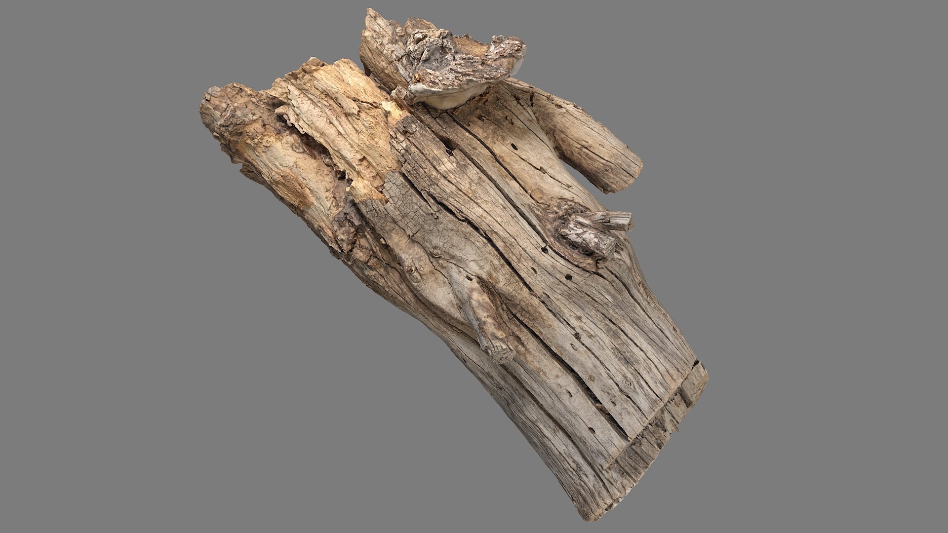 3D Model Tree Bark Scanned 9 - TurboSquid 2015474