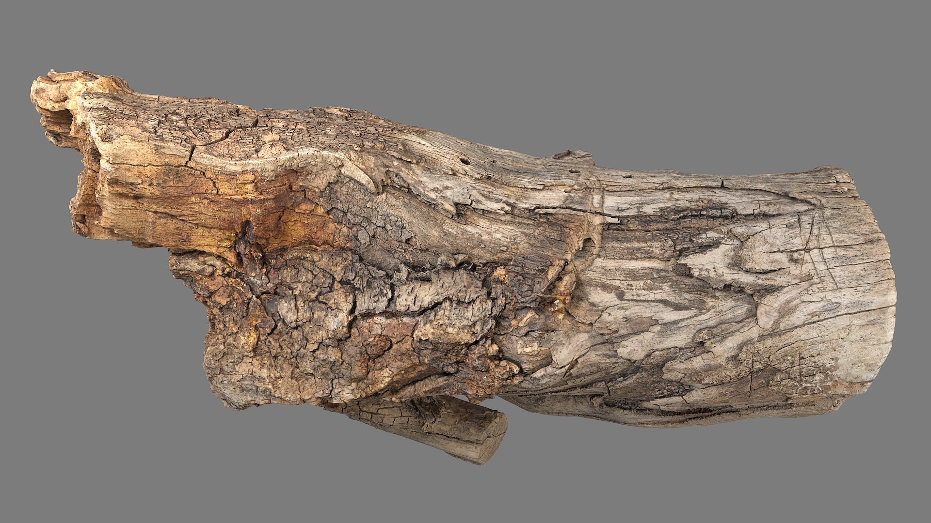 3D Model Tree Bark Scanned 9 - TurboSquid 2015474