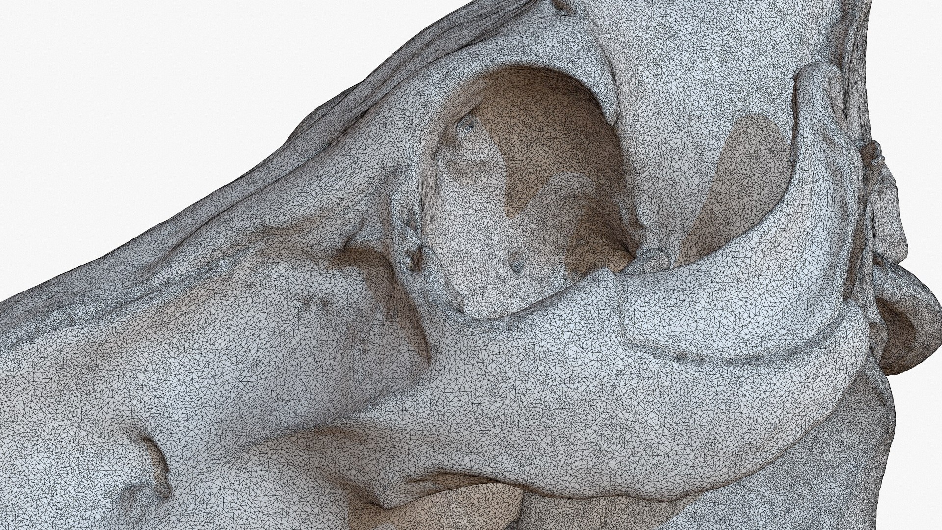 Pork Skull Raw Scan 3D Model - TurboSquid 1220843