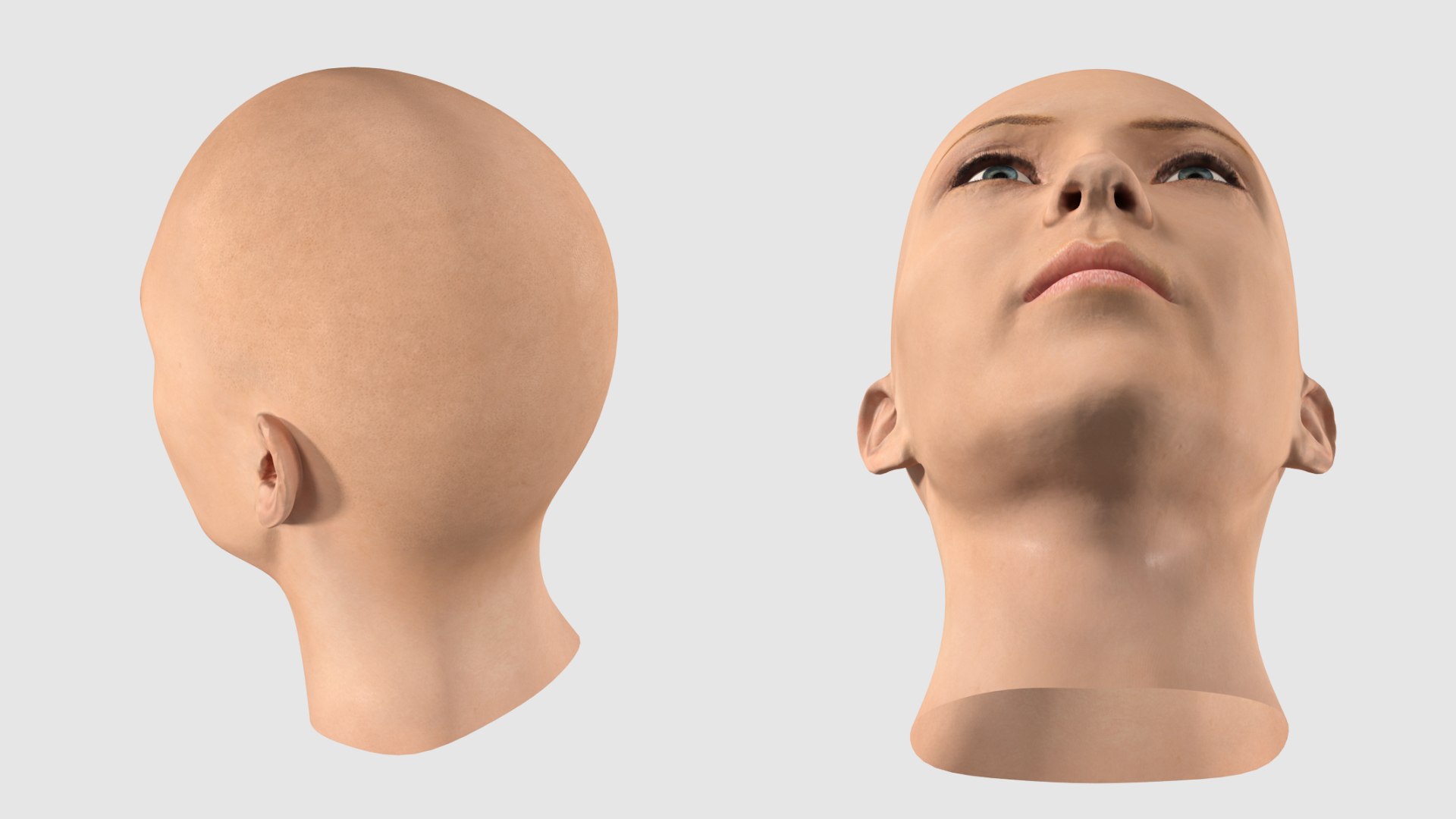 3D Female Bald Head Woman Model - TurboSquid 1693872