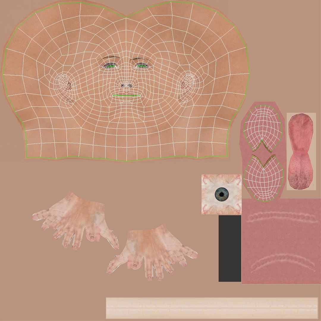 3D Female Bald Head Woman Model - TurboSquid 1693872