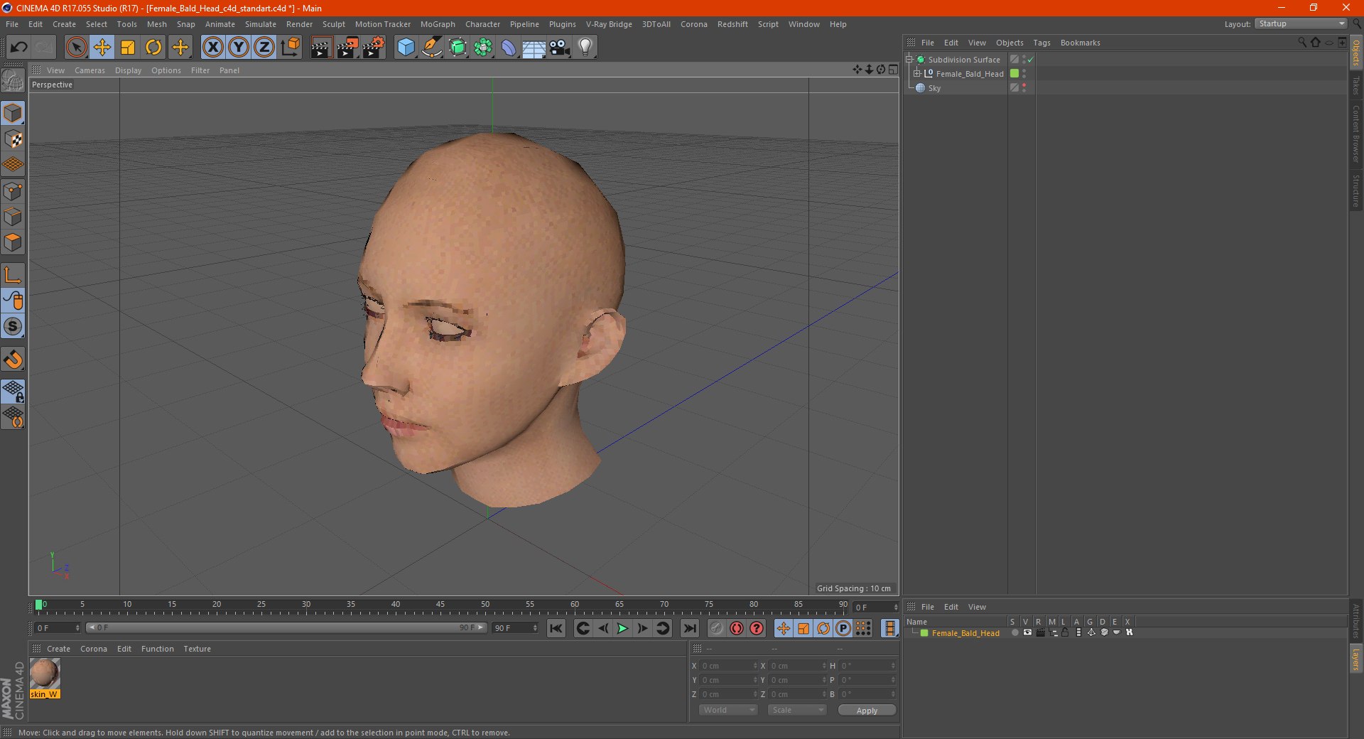 3D Female Bald Head Woman Model - TurboSquid 1693872