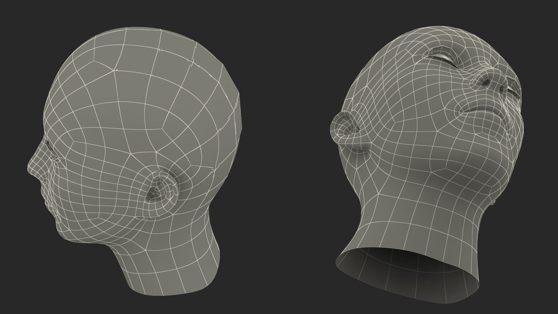 3D Female Bald Head Woman Model - TurboSquid 1693872