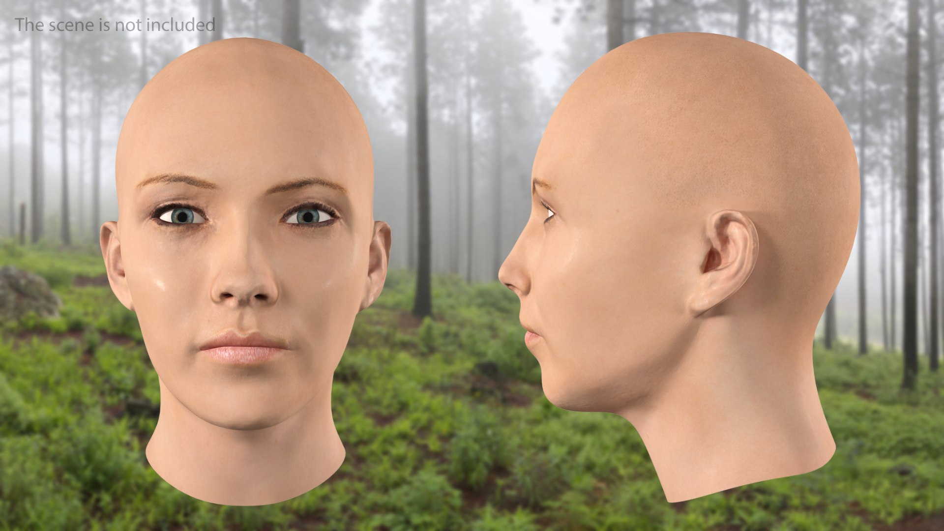 3D Female Bald Head Woman Model - TurboSquid 1693872