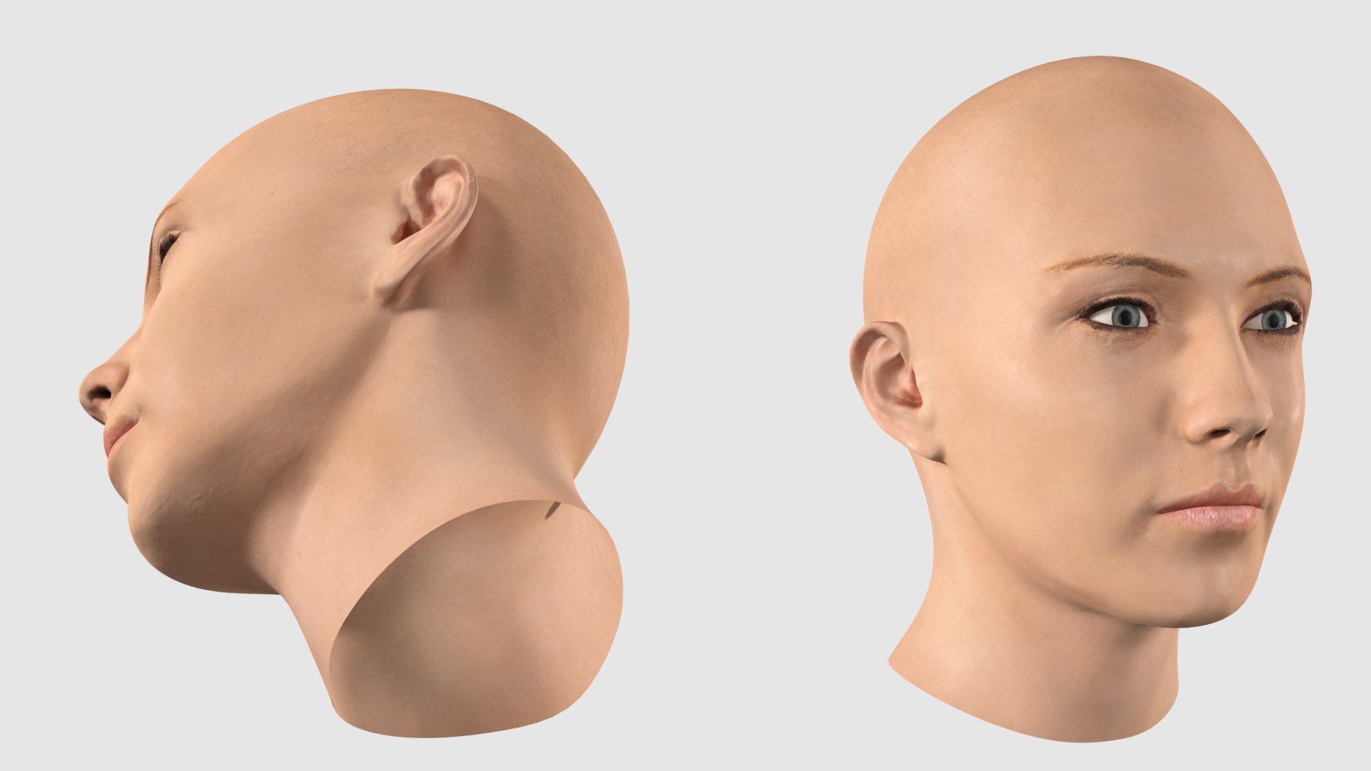 3D Female Bald Head Woman Model - TurboSquid 1693872
