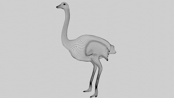 Realistic rigged emu 3D model - TurboSquid 1683852