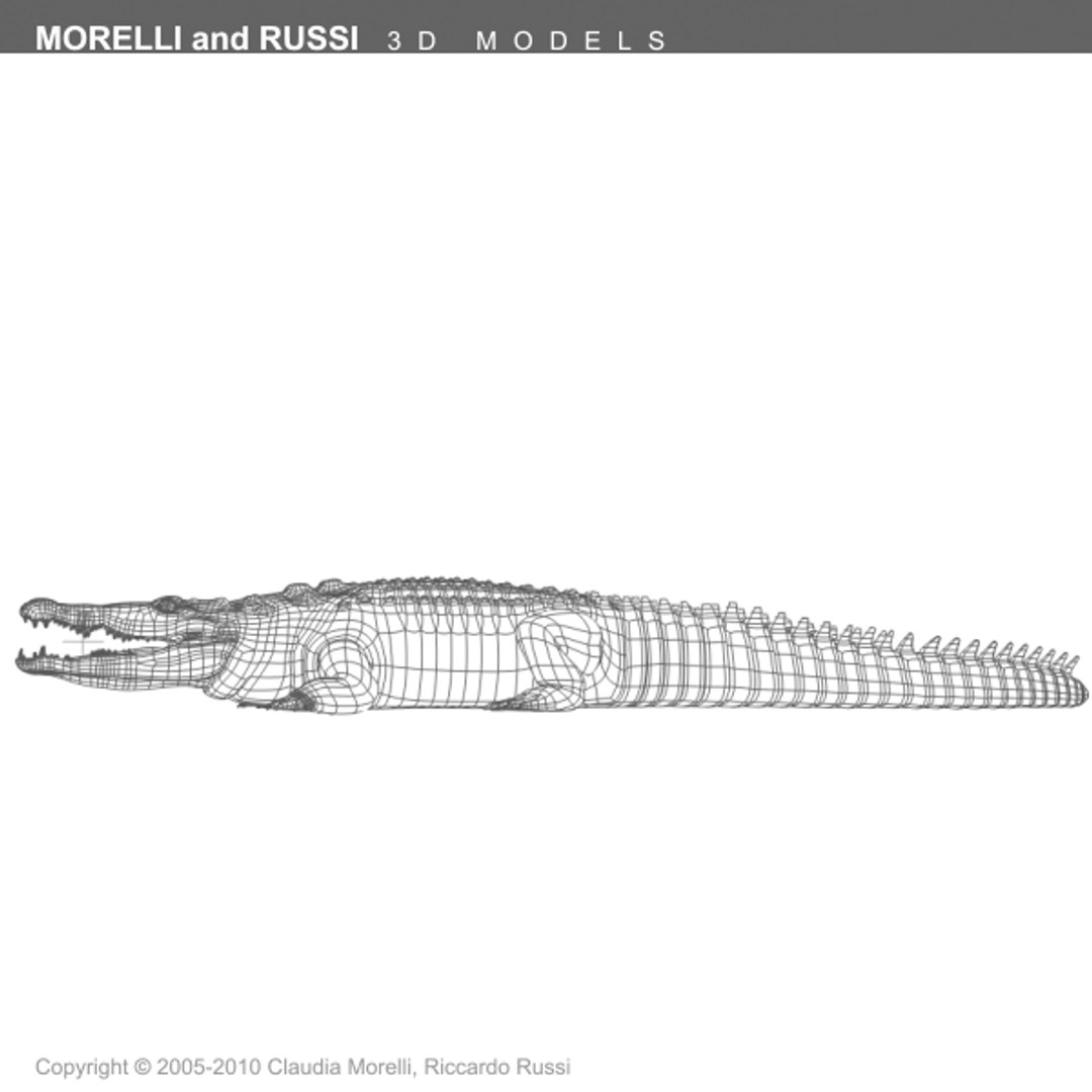 3d Morelli Crocodile - Alligator Model