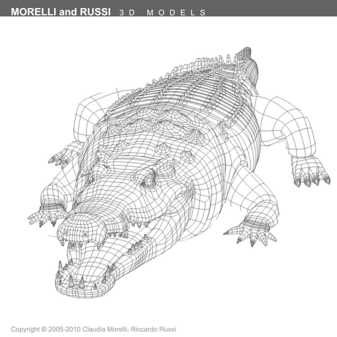 3d Morelli Crocodile - Alligator Model