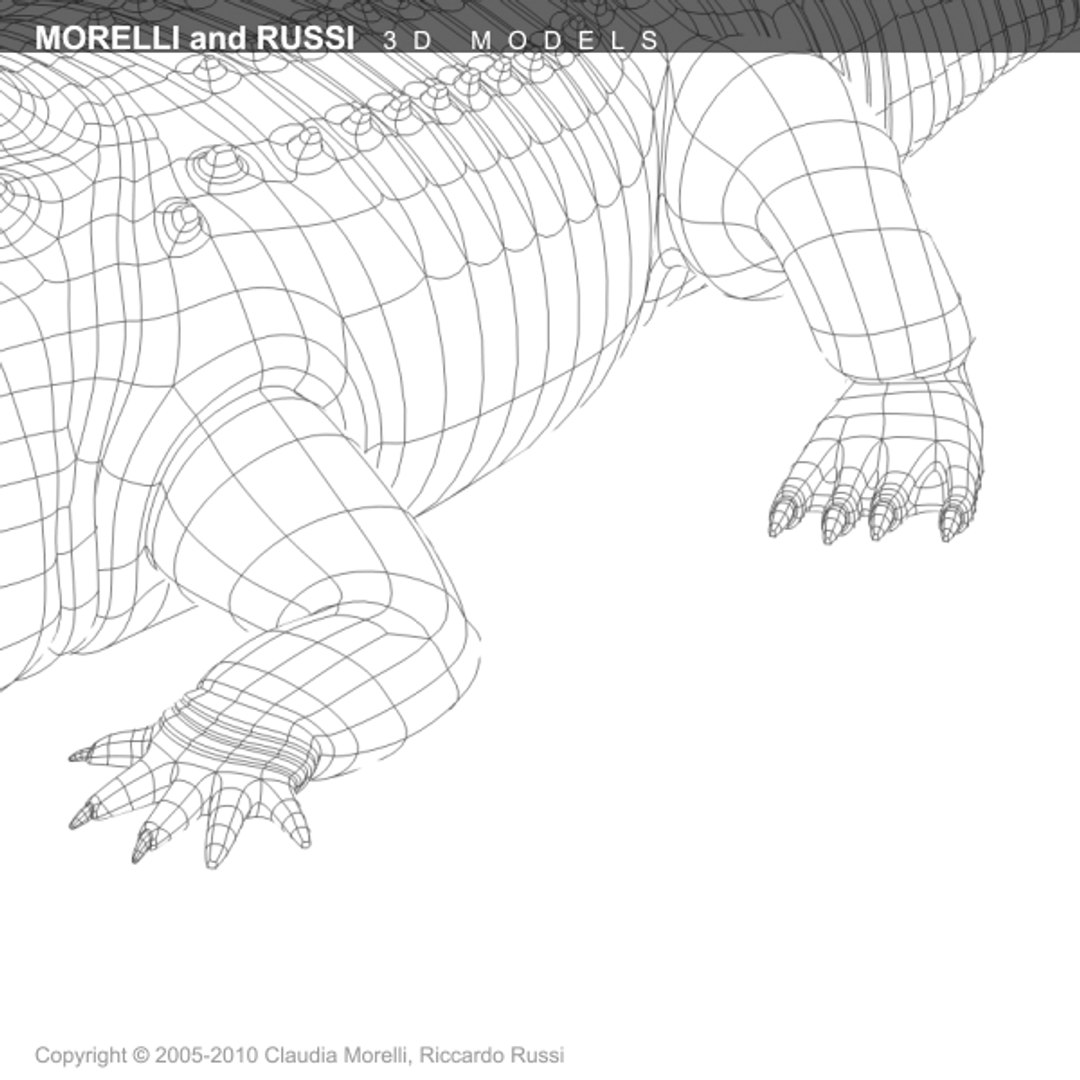 3d Morelli Crocodile - Alligator Model