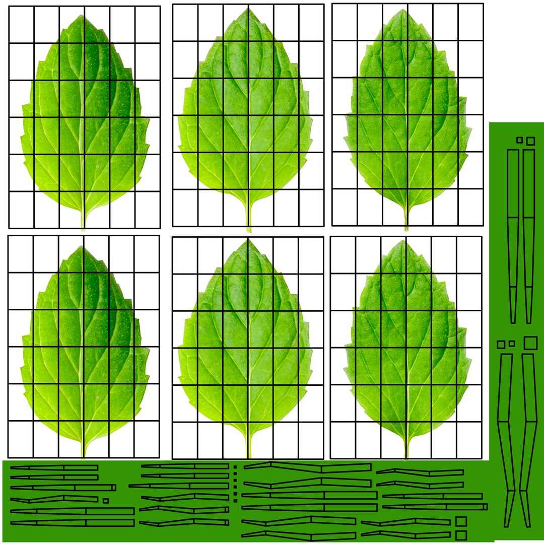3D Mint Design Model - TurboSquid 1439371