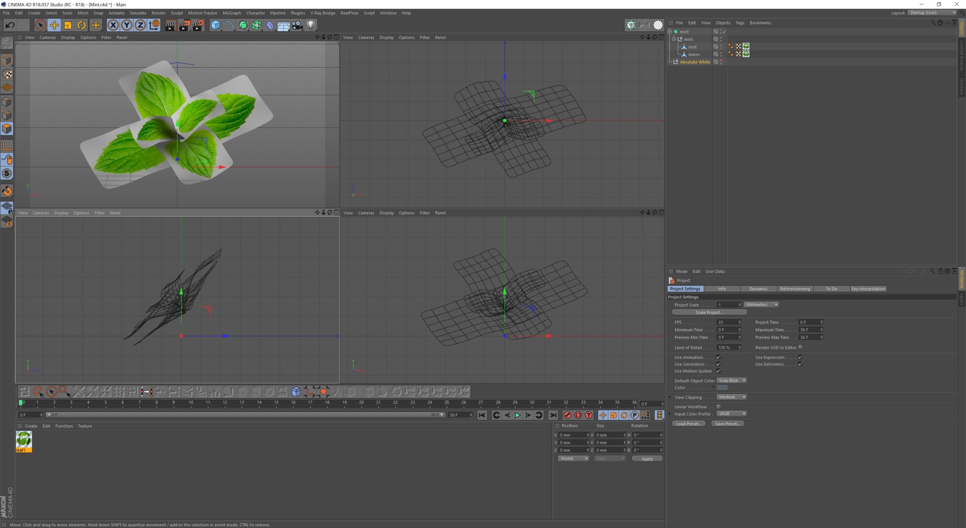 3D Mint Design Model - TurboSquid 1439371