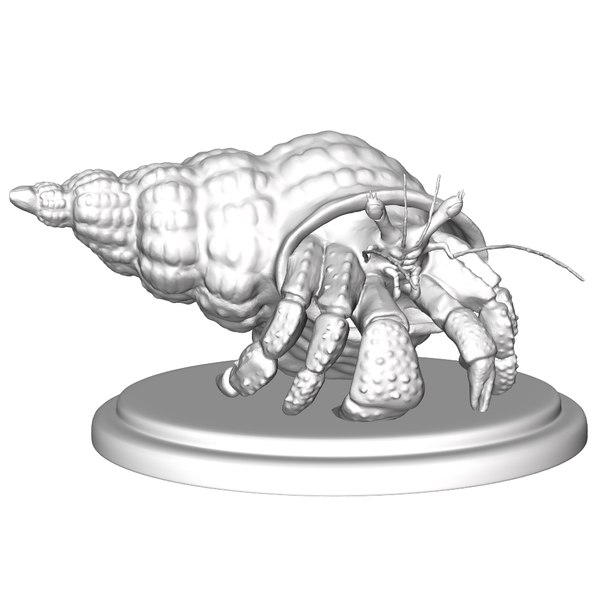 Hermit Crab STL Models for Download | TurboSquid
