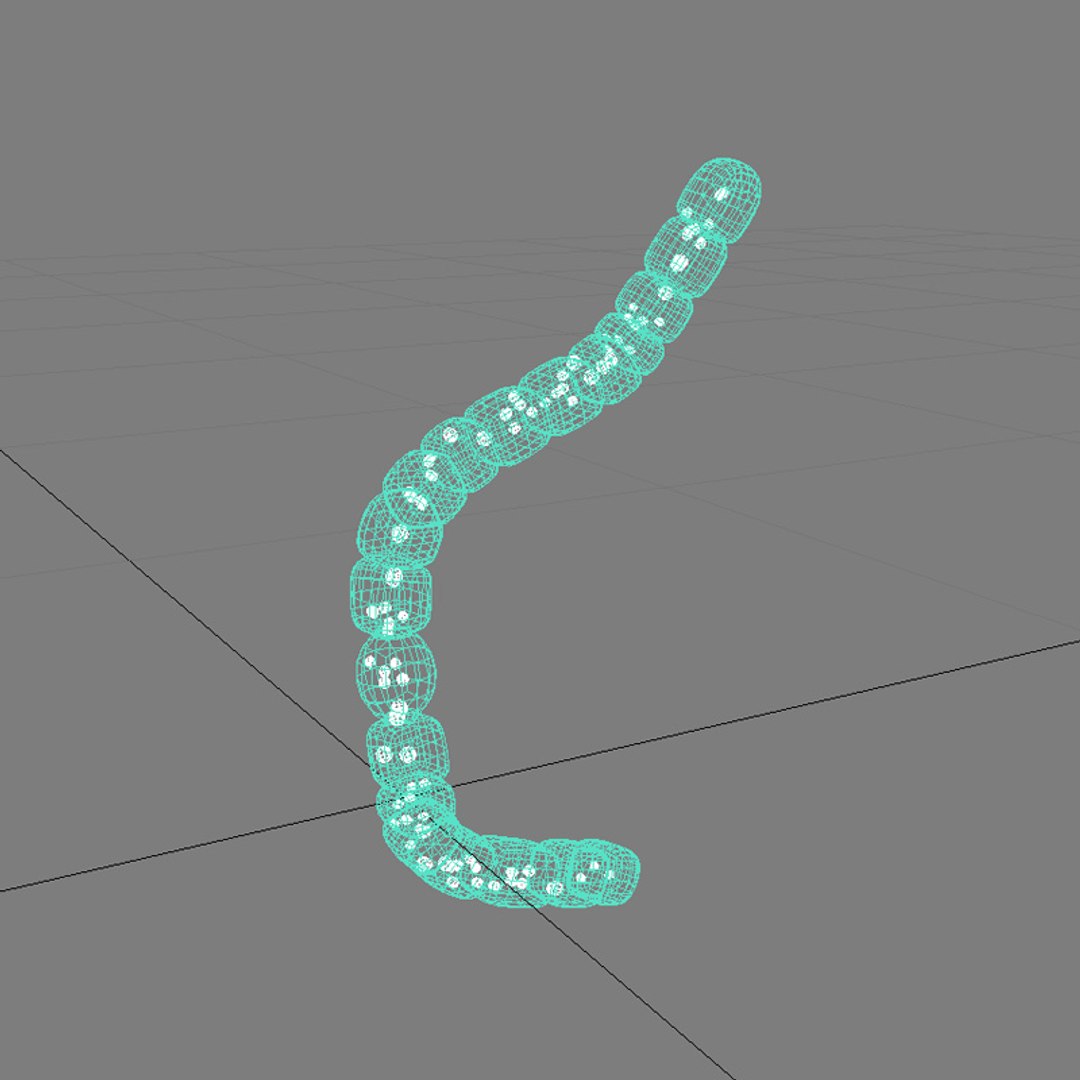 3d Microbes Micro Organisms