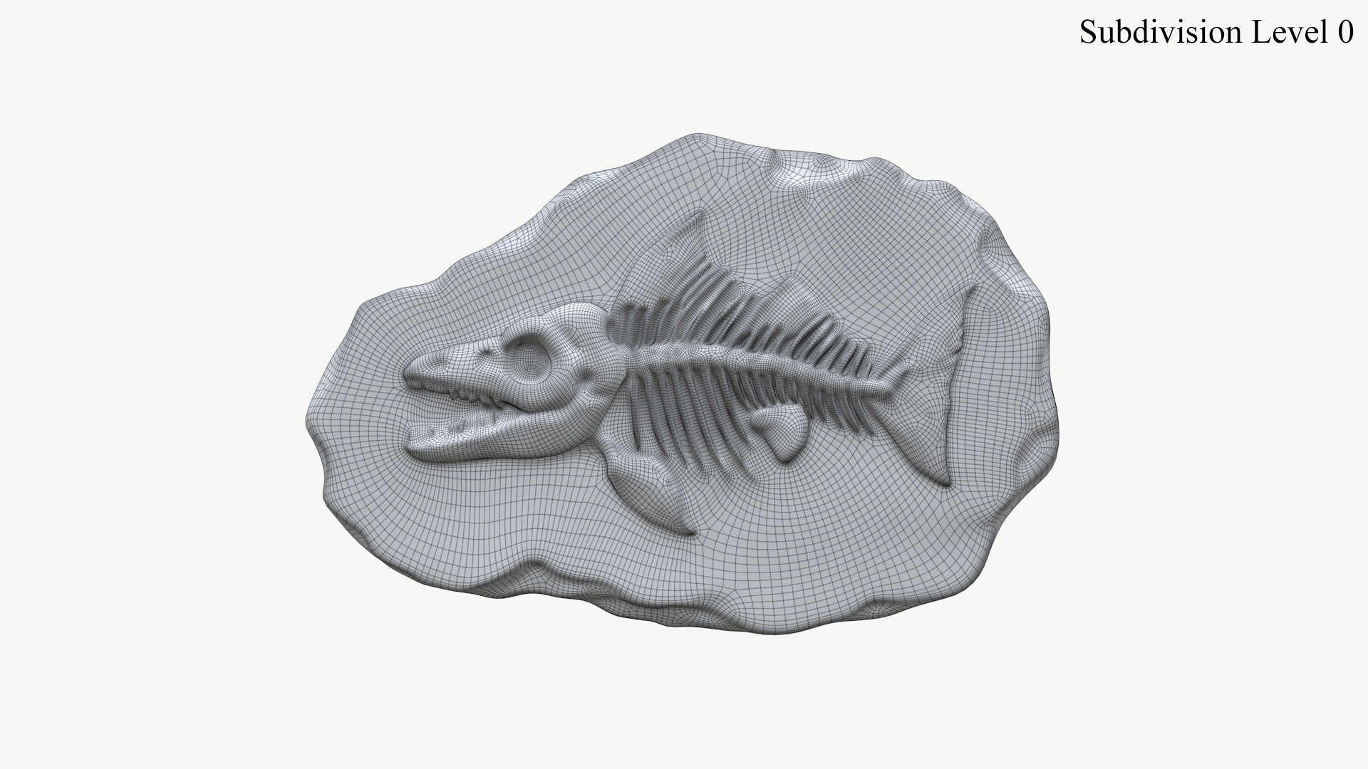 Prehistoric Fish Skeleton Fossil 023 Textured Model - TurboSquid 2304485