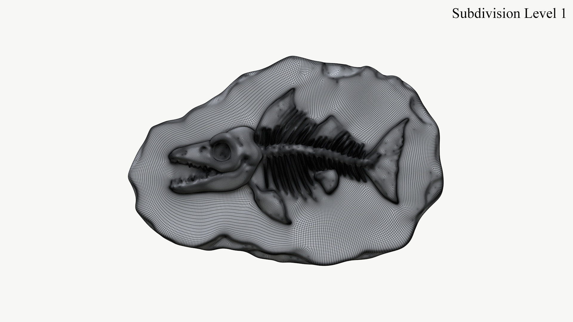 Prehistoric Fish Skeleton Fossil 023 Textured Model - TurboSquid 2304485