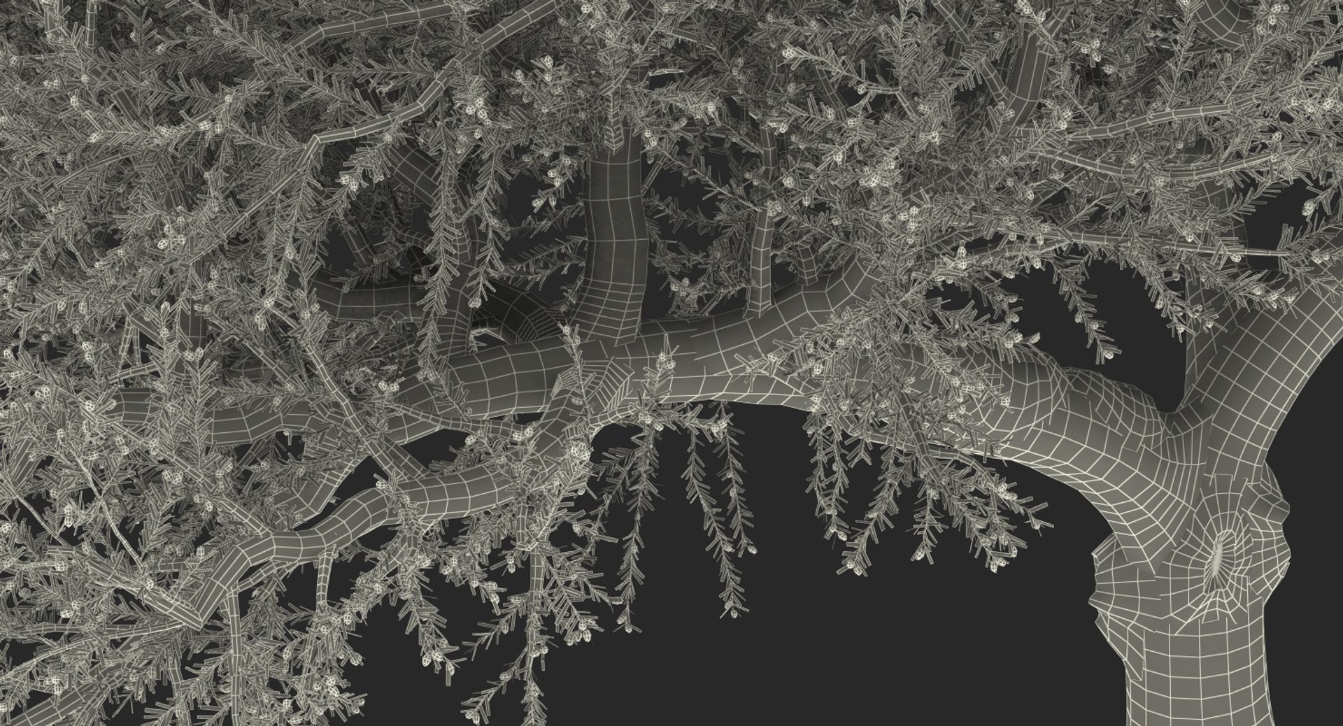 3D olive tree model - TurboSquid 1394317