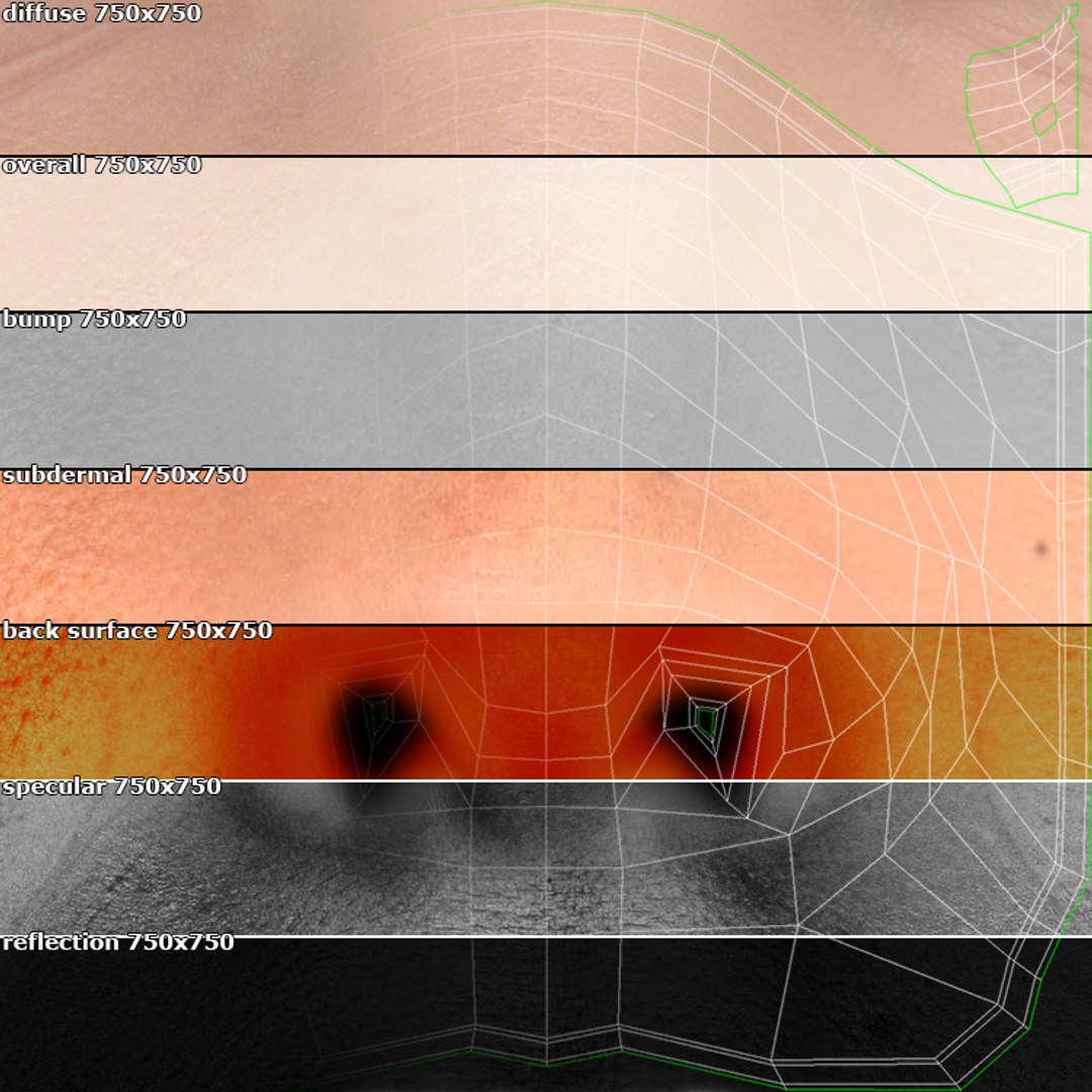 3d Model Realistic Human Nose