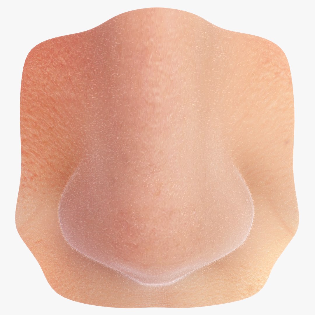 3d model realistic human nose