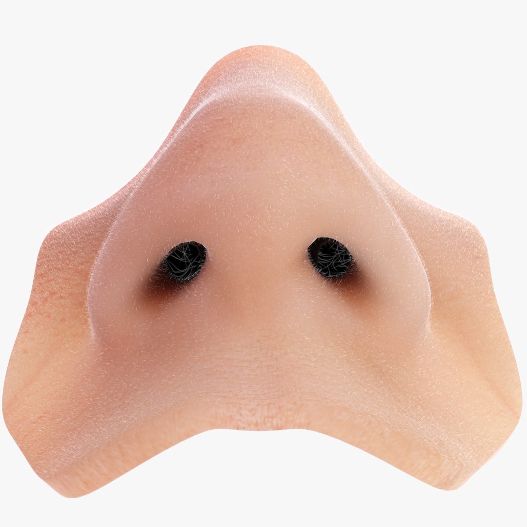 3d Model Realistic Human Nose