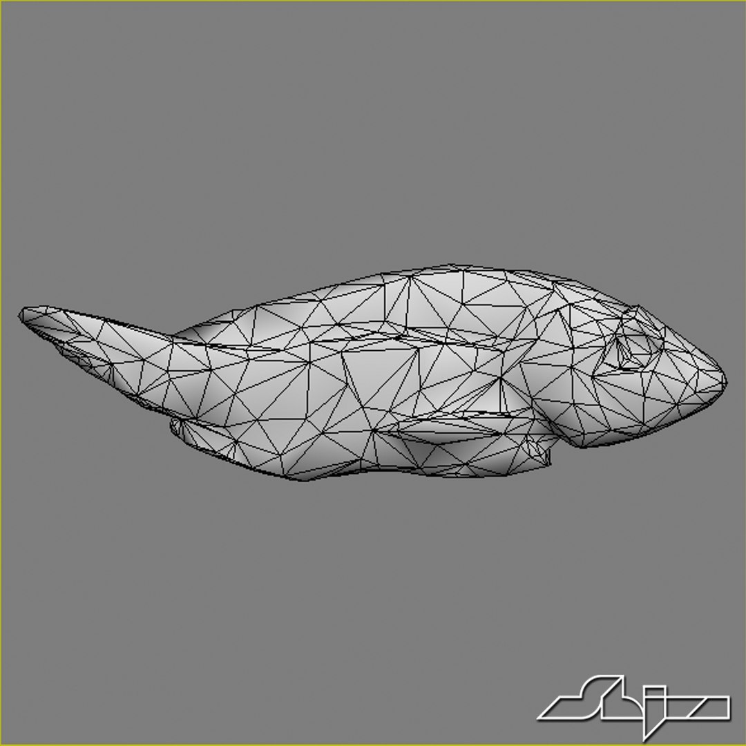3d Dry Fish