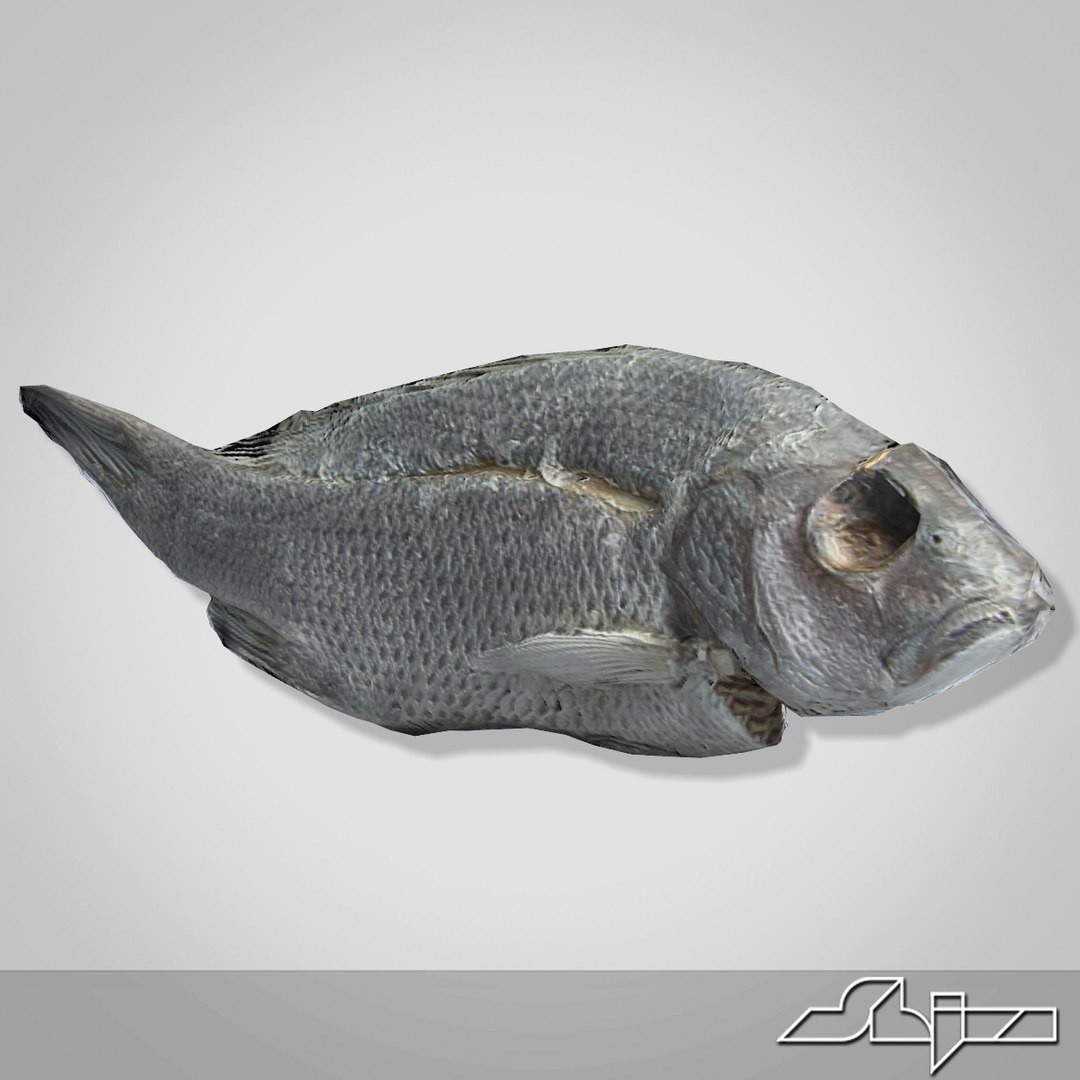 3d Dry Fish