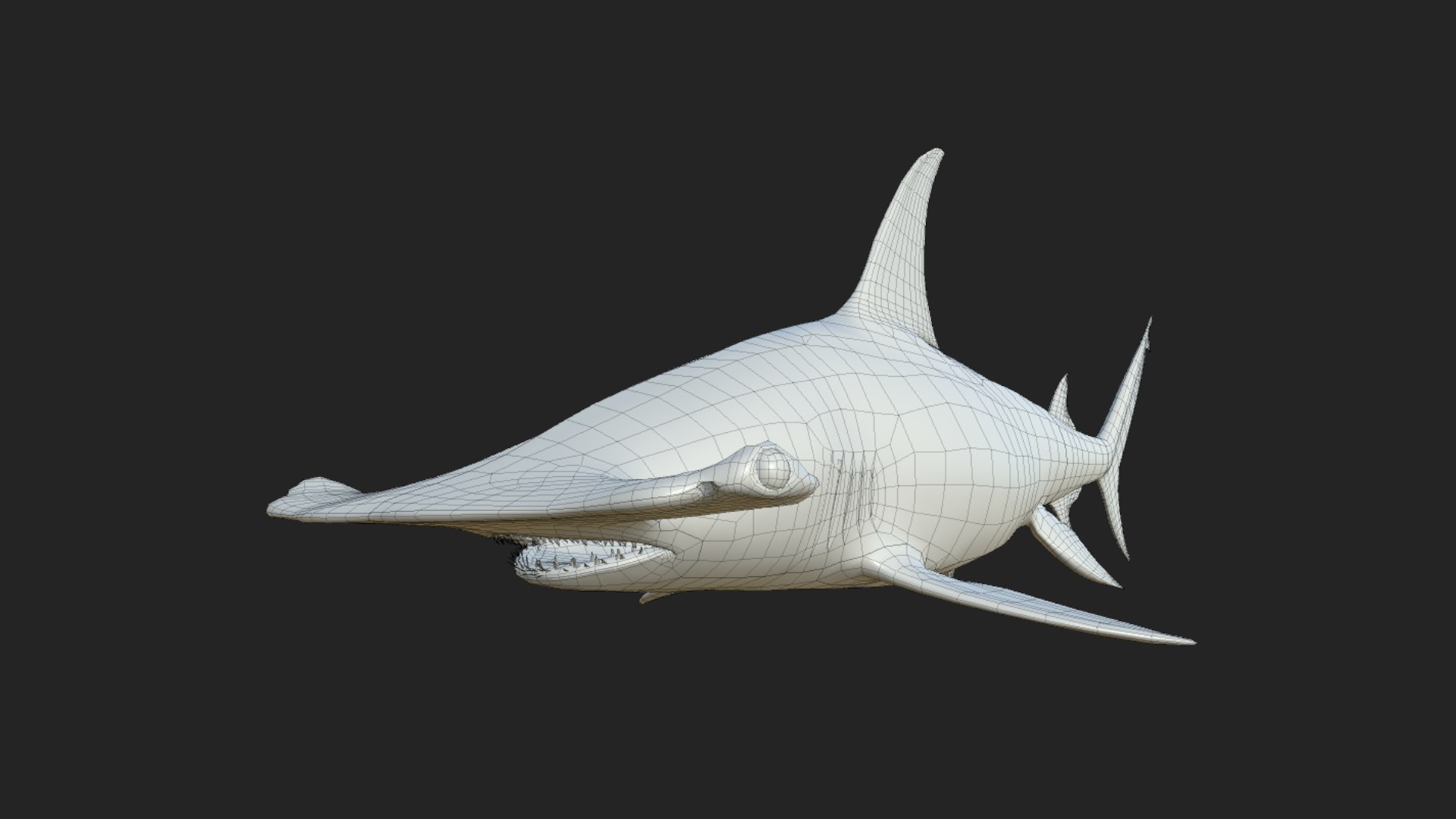 Shark 3D Model - TurboSquid 1953786