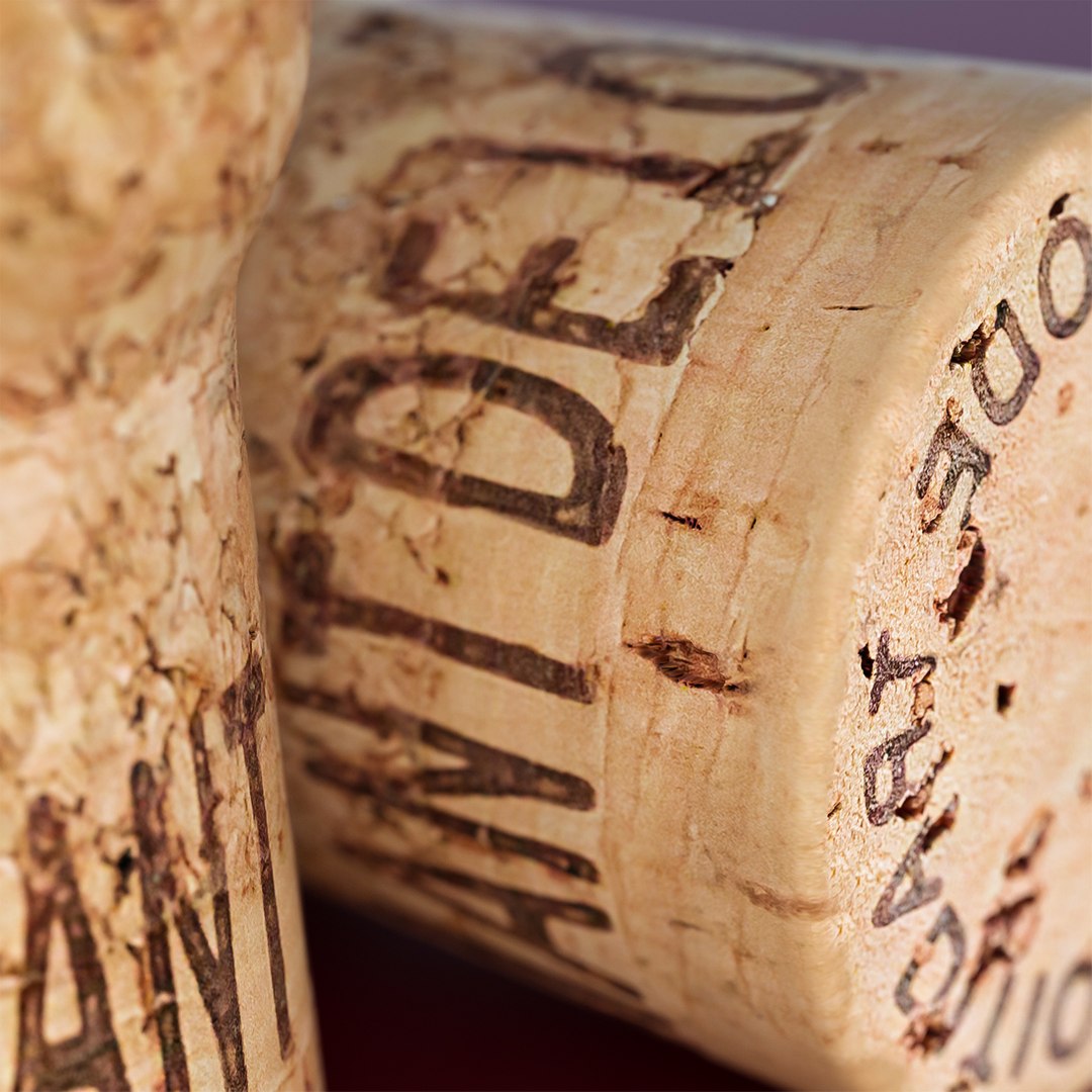 Champagne Cork 3d C4d