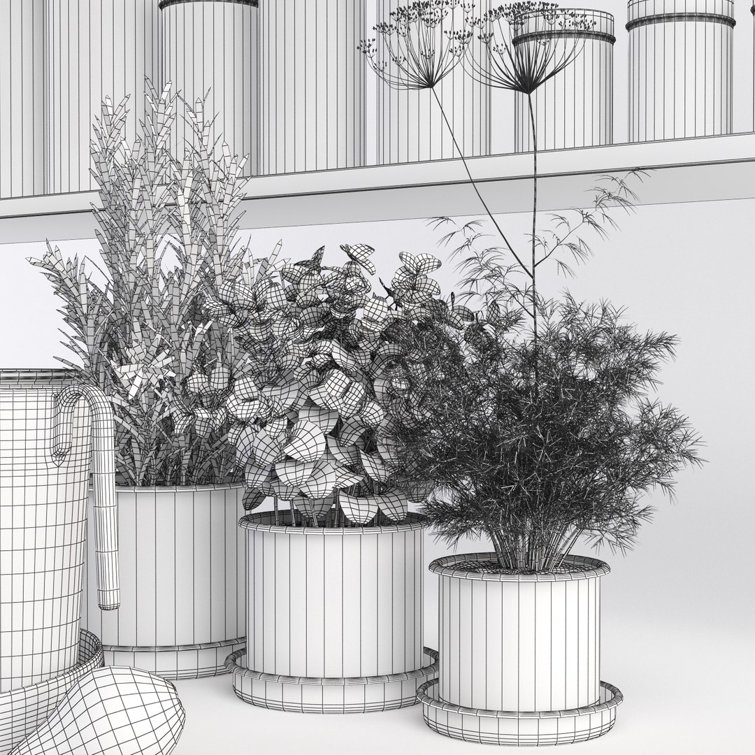 Set Orla Kiely 3d Model