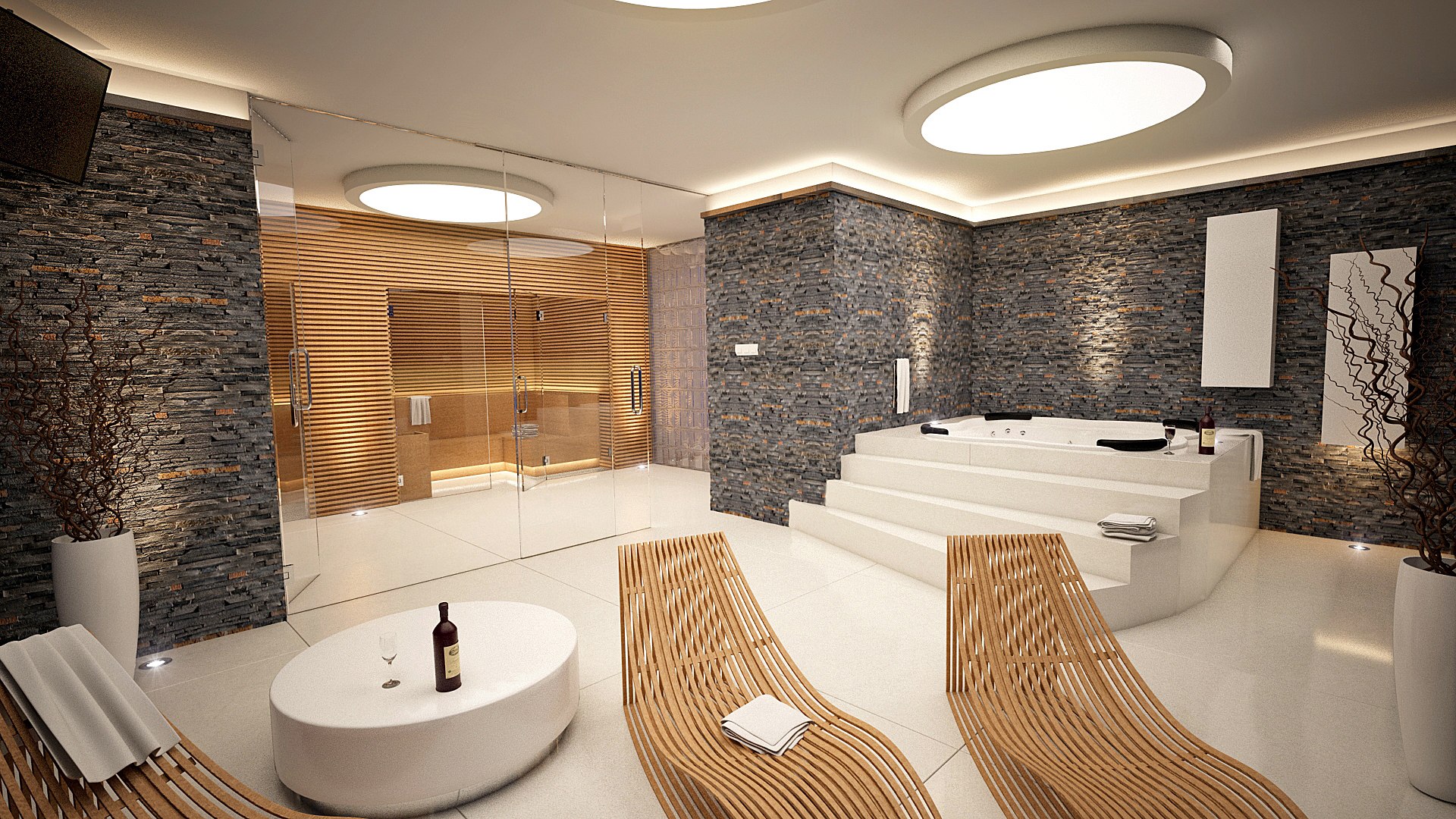 3d Wellness Interior Model