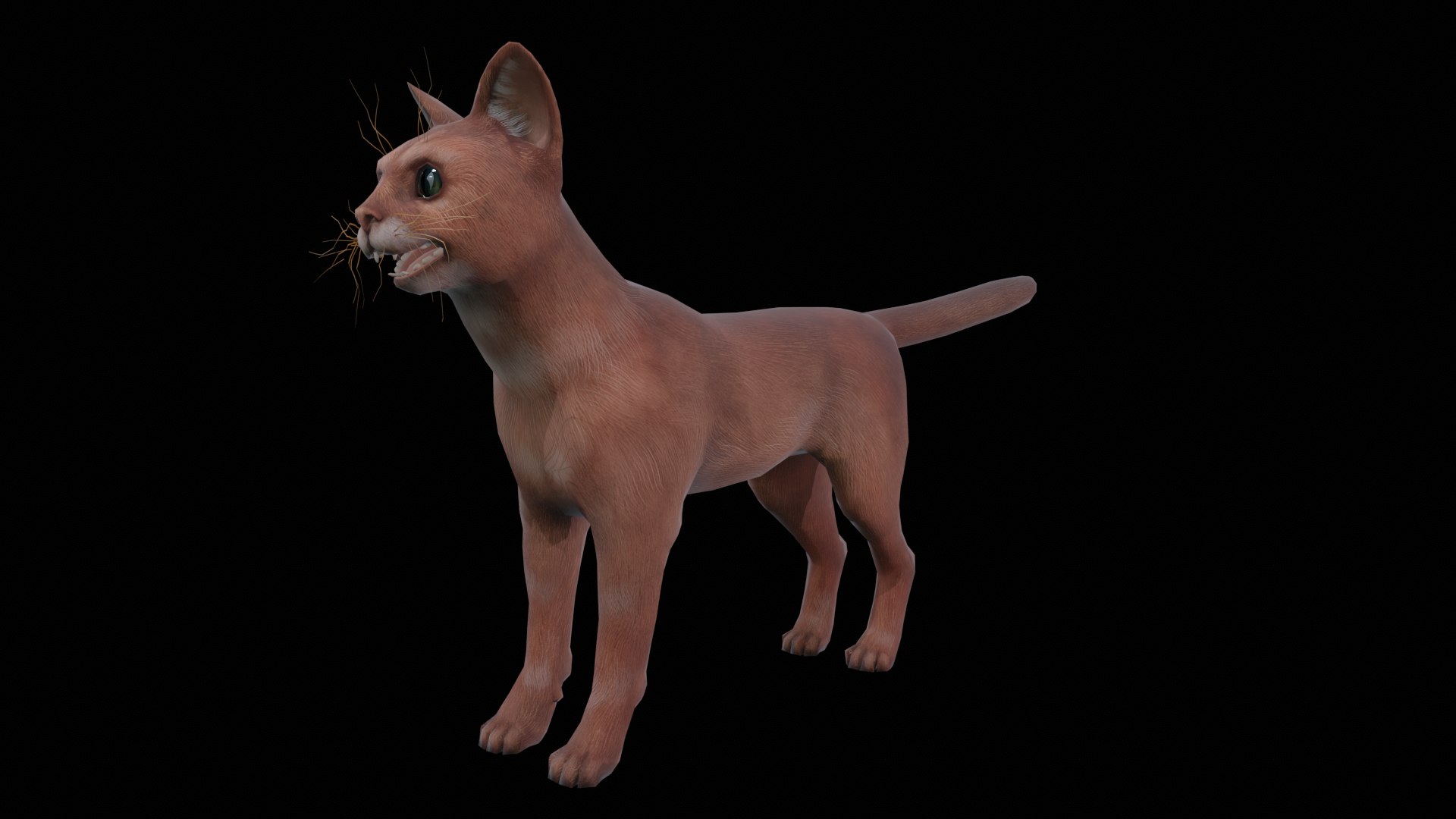 Cat 3d 3D Model 3D Model - TurboSquid 2303720