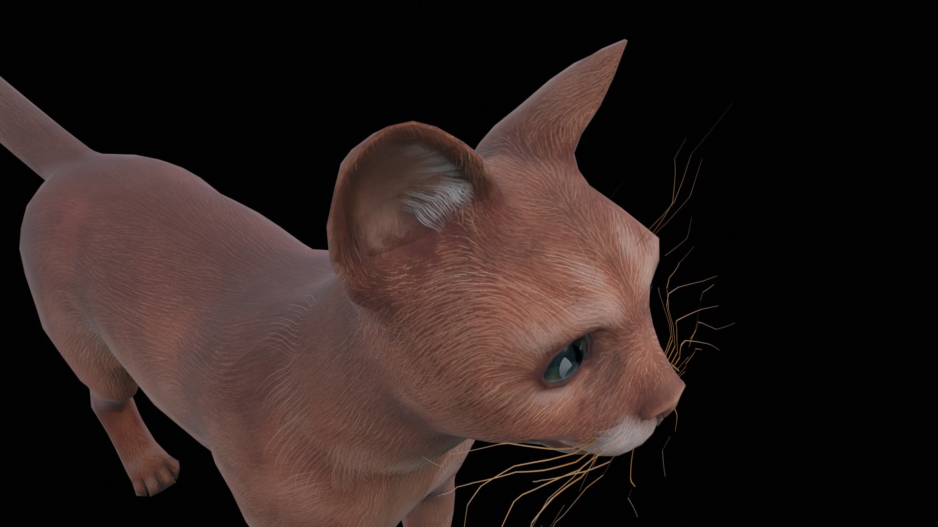 Cat 3d 3D Model 3D Model - TurboSquid 2303720