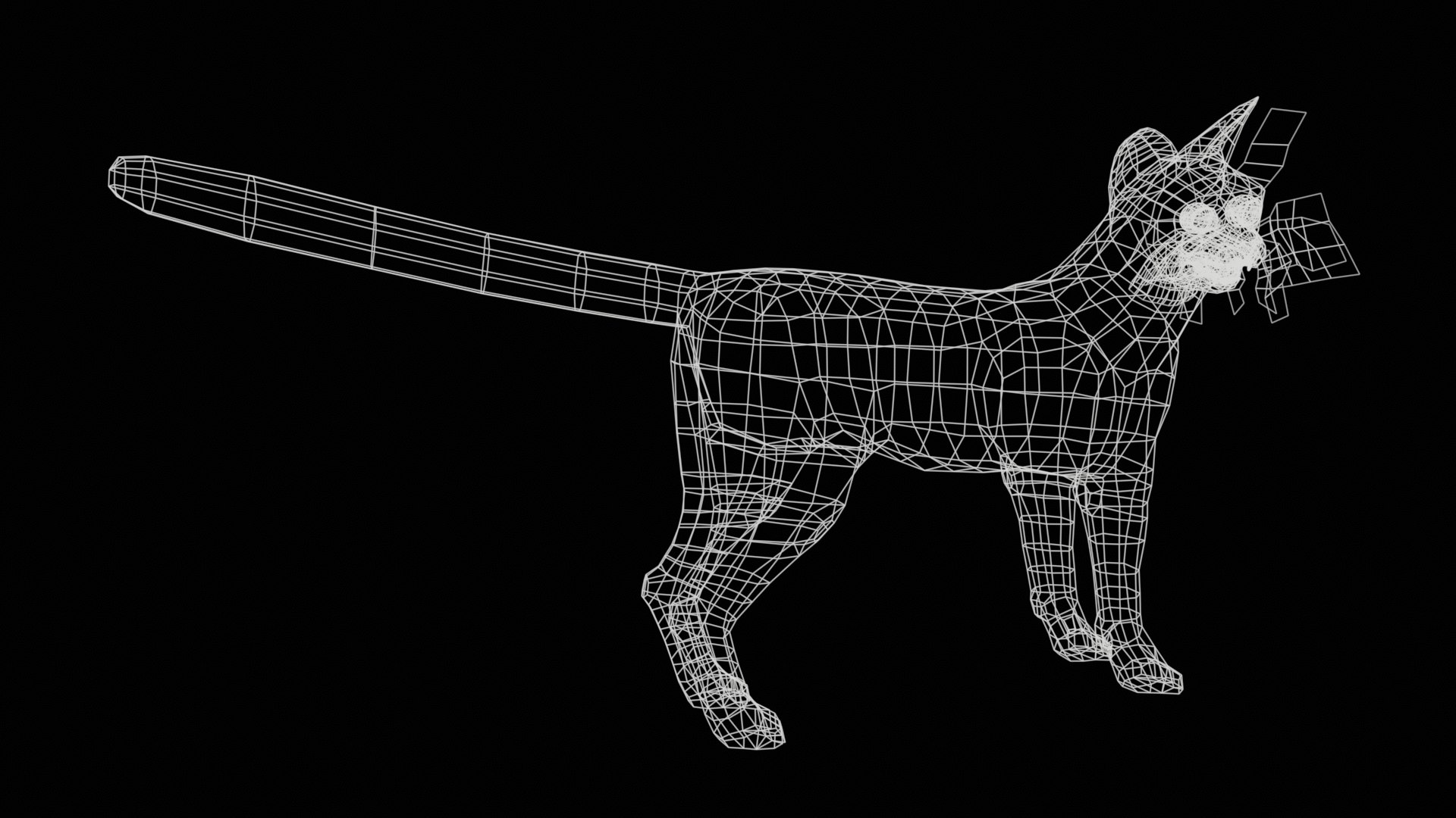 Cat 3d 3D Model 3D Model - TurboSquid 2303720