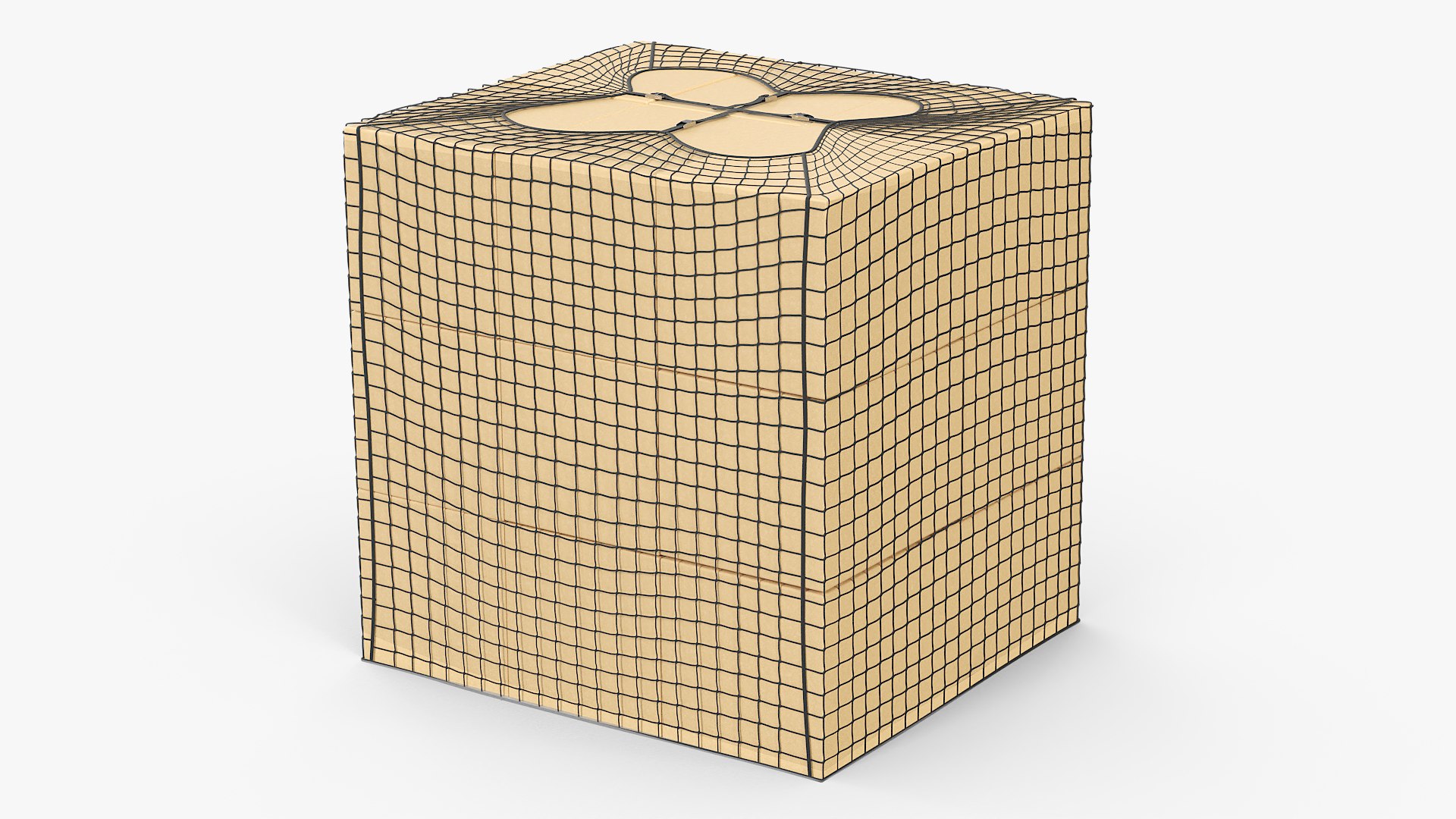 3D Boxed Freight With Full Containment Net Beige And Black - TurboSquid ...