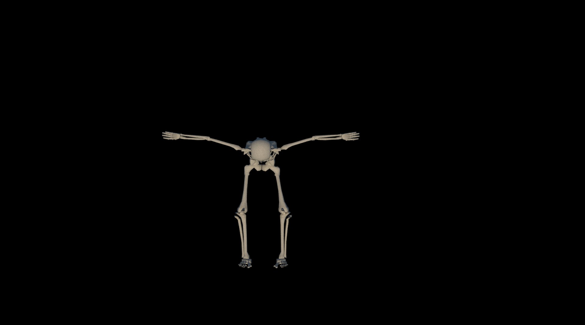 3D Skeleton Rising - TurboSquid 1503528