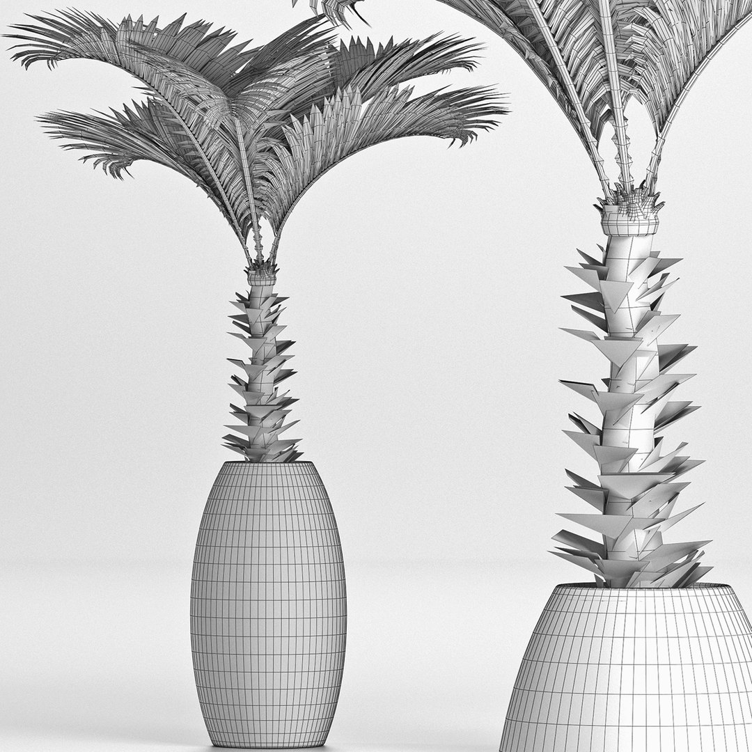 Palm plants 3D model - TurboSquid 1685275