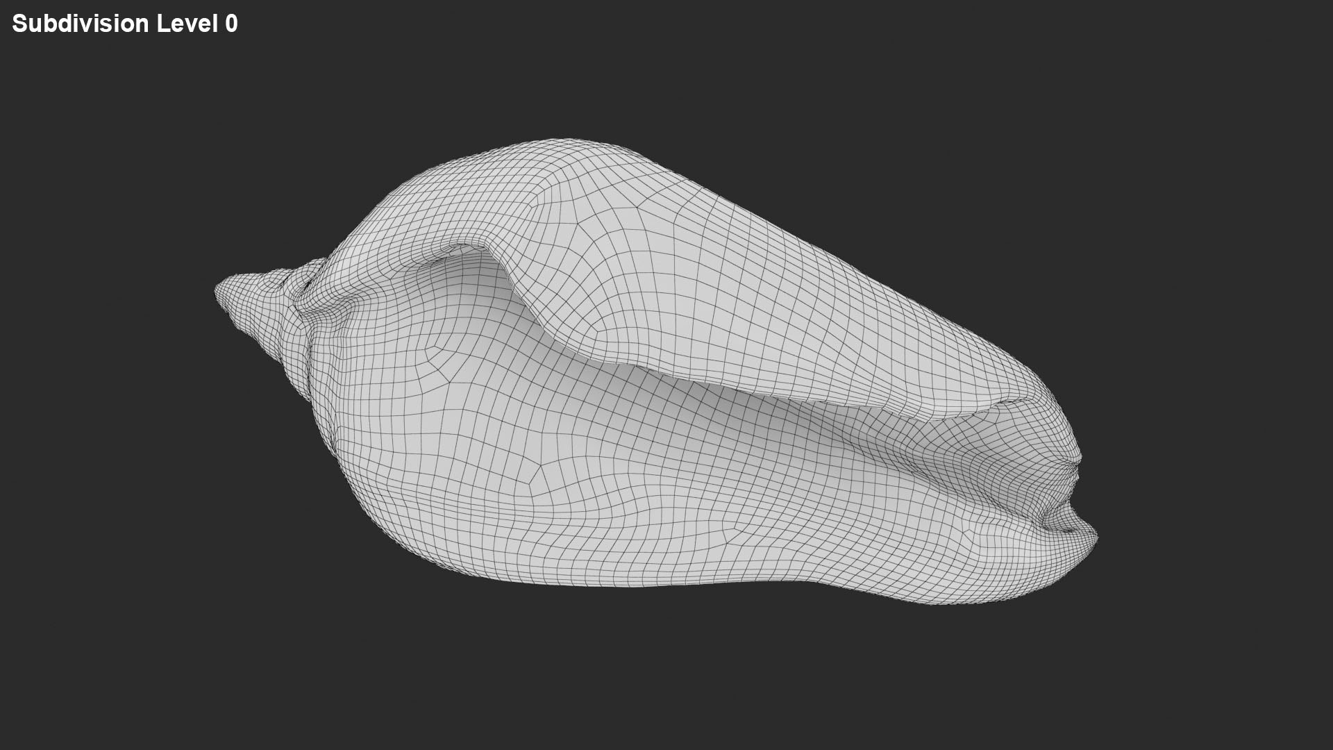 3D model Pierced Shell Cones - TurboSquid 2146651