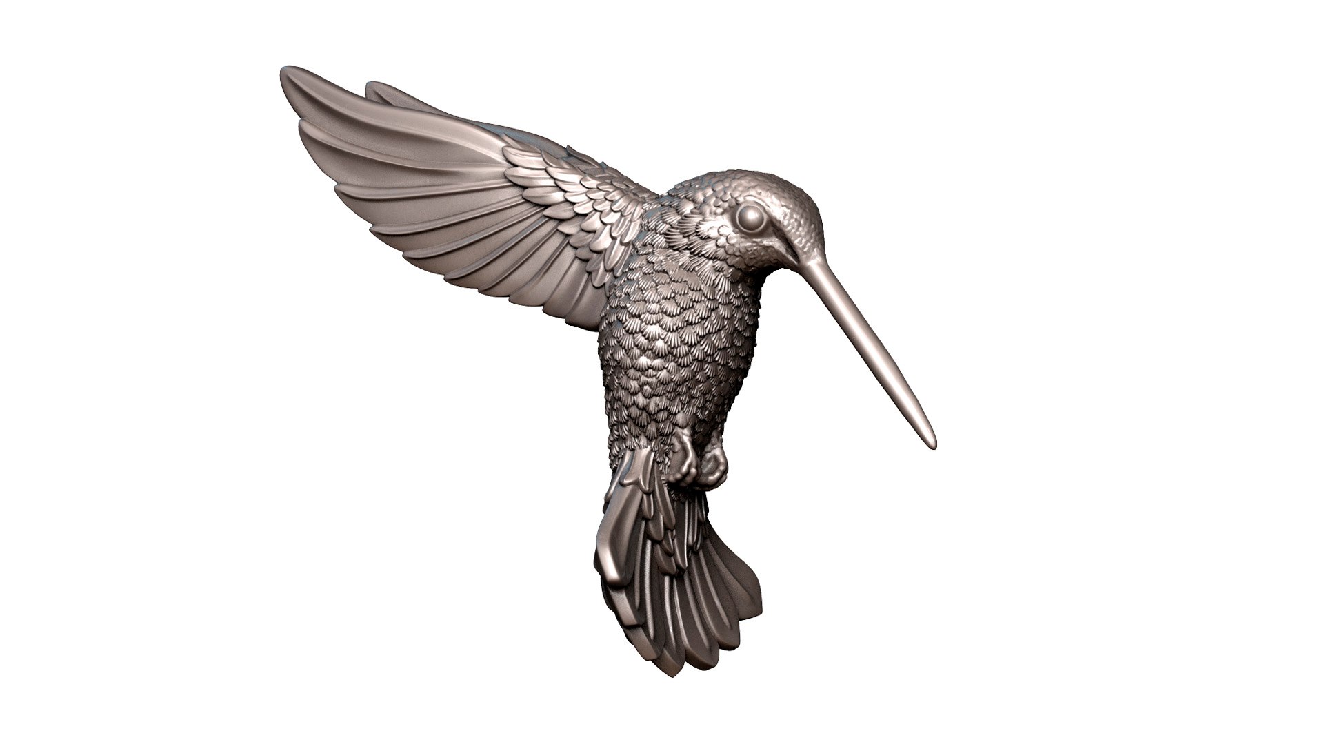 3D Hummingbird - TurboSquid 1822463