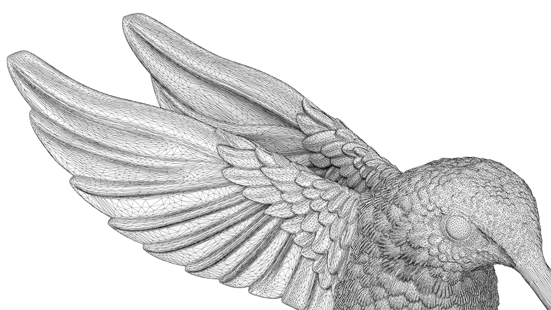 3D Hummingbird - TurboSquid 1822463