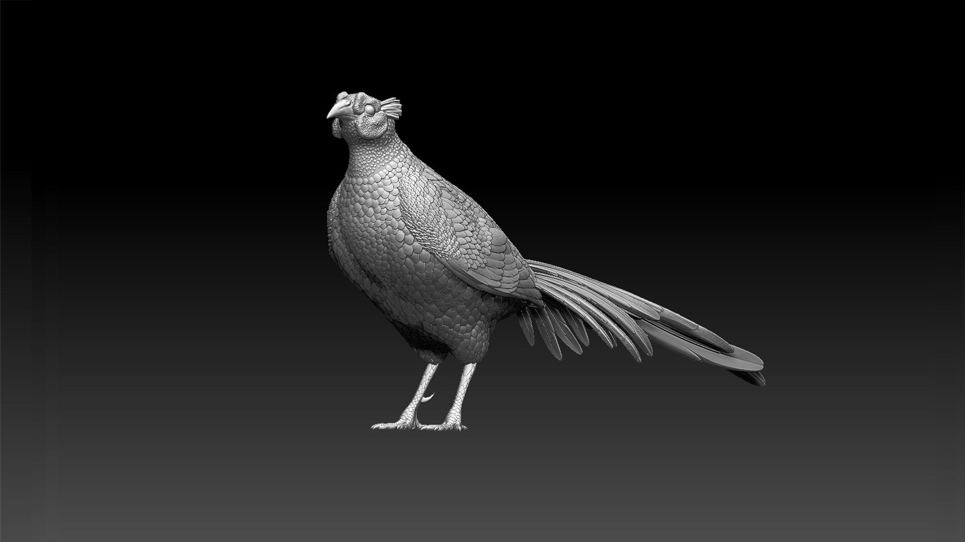 3D Pheasant Model - TurboSquid 1957594