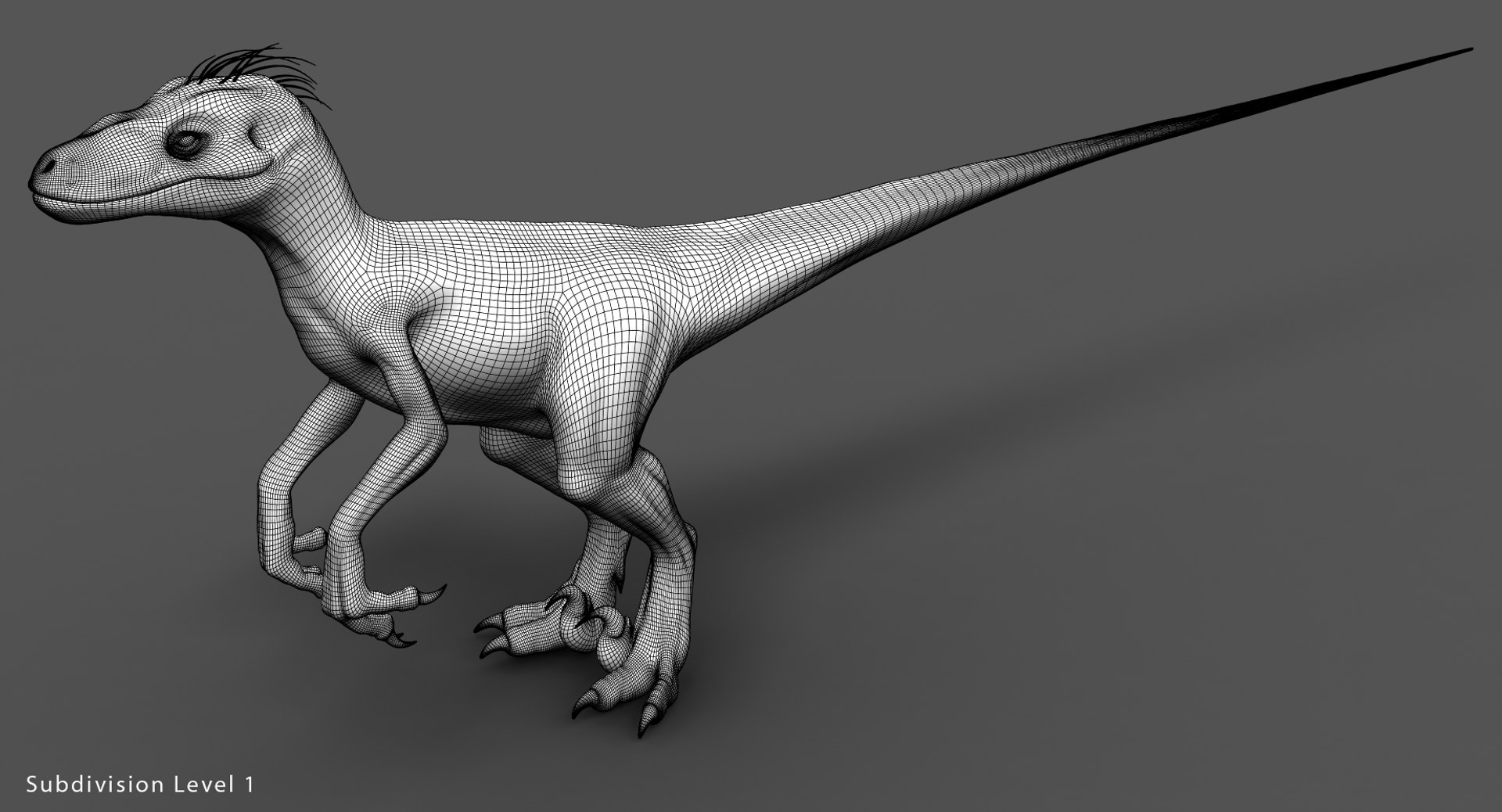Velociraptor Rigged 3d Model